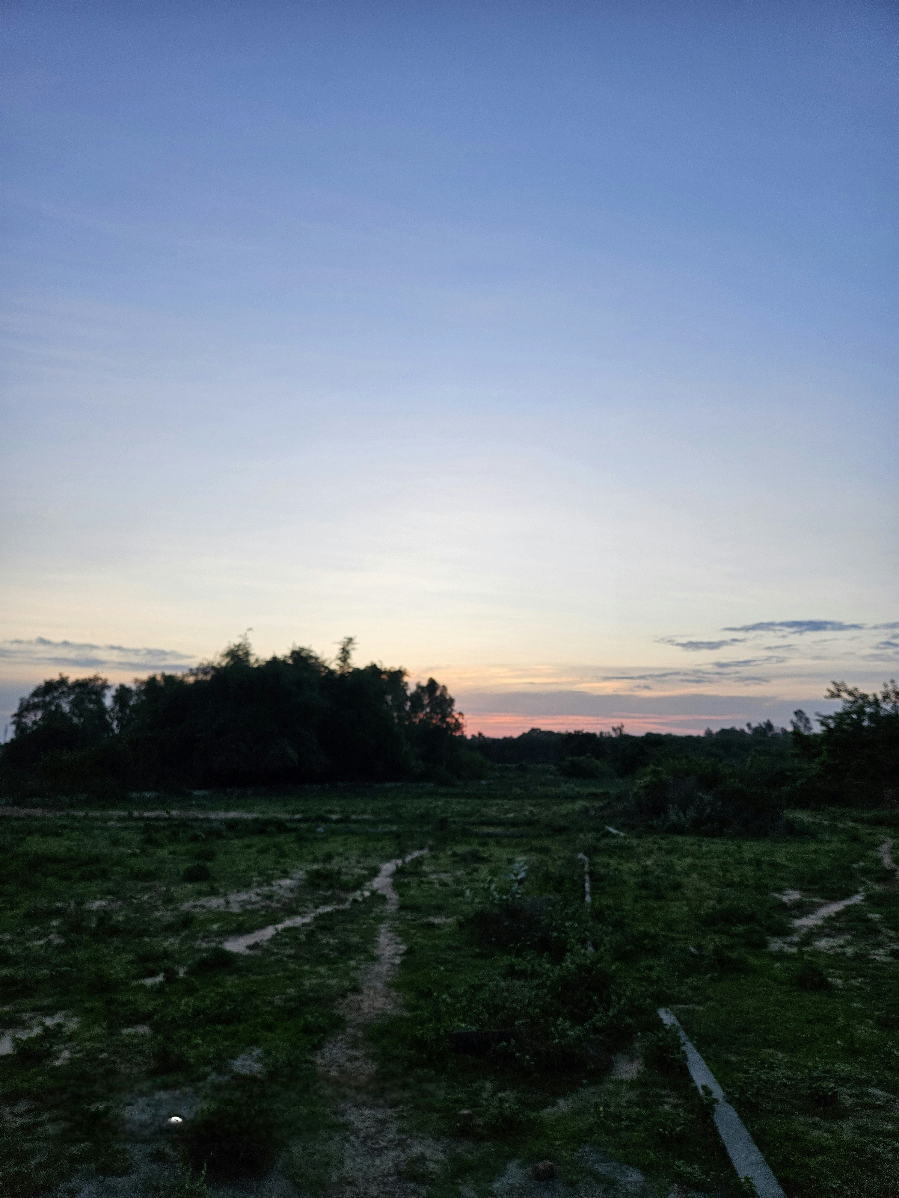 Quiet Horizon: Sunset over a Sparse Field