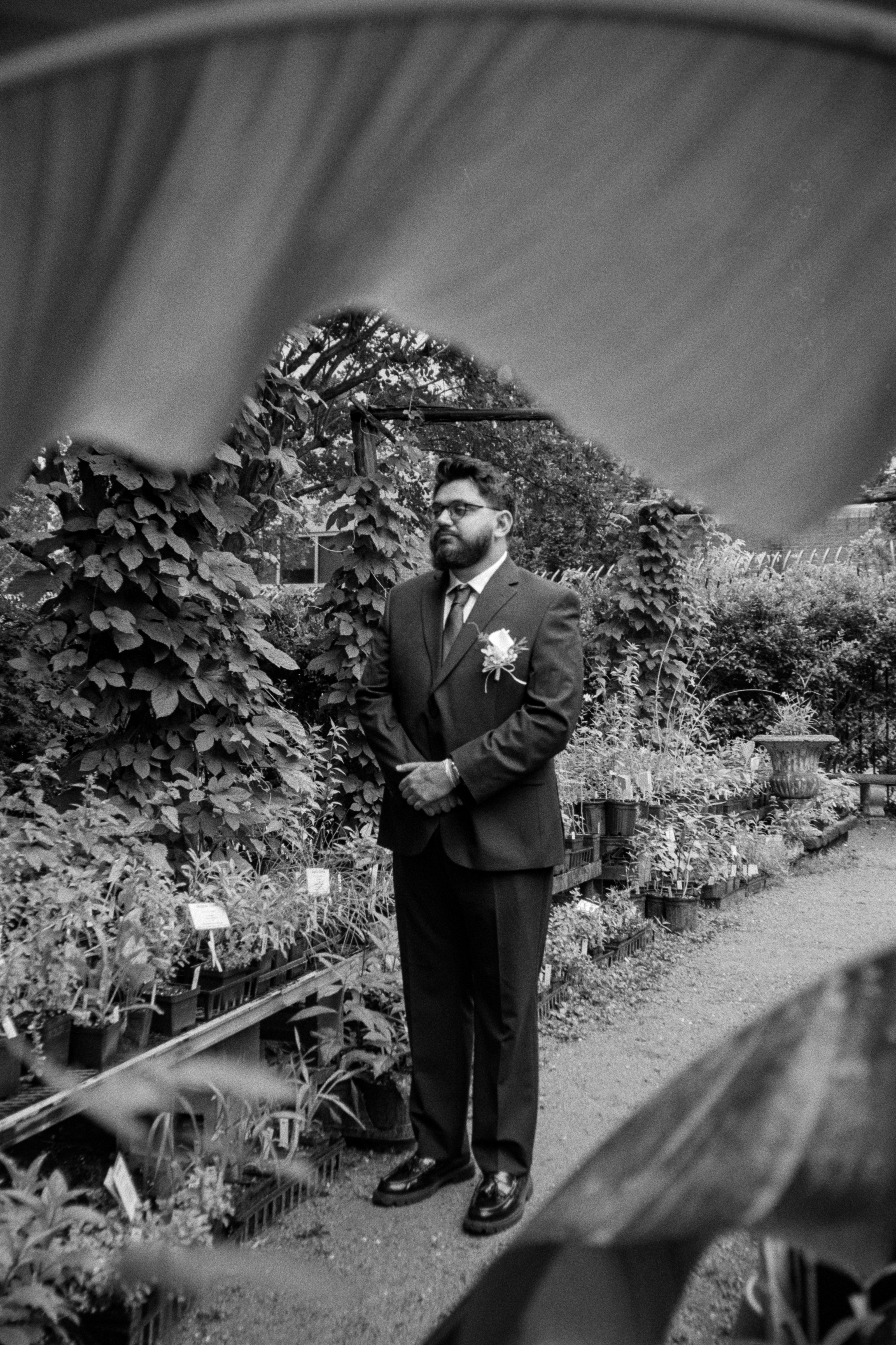 Groomed Stillness in a Garden Frame