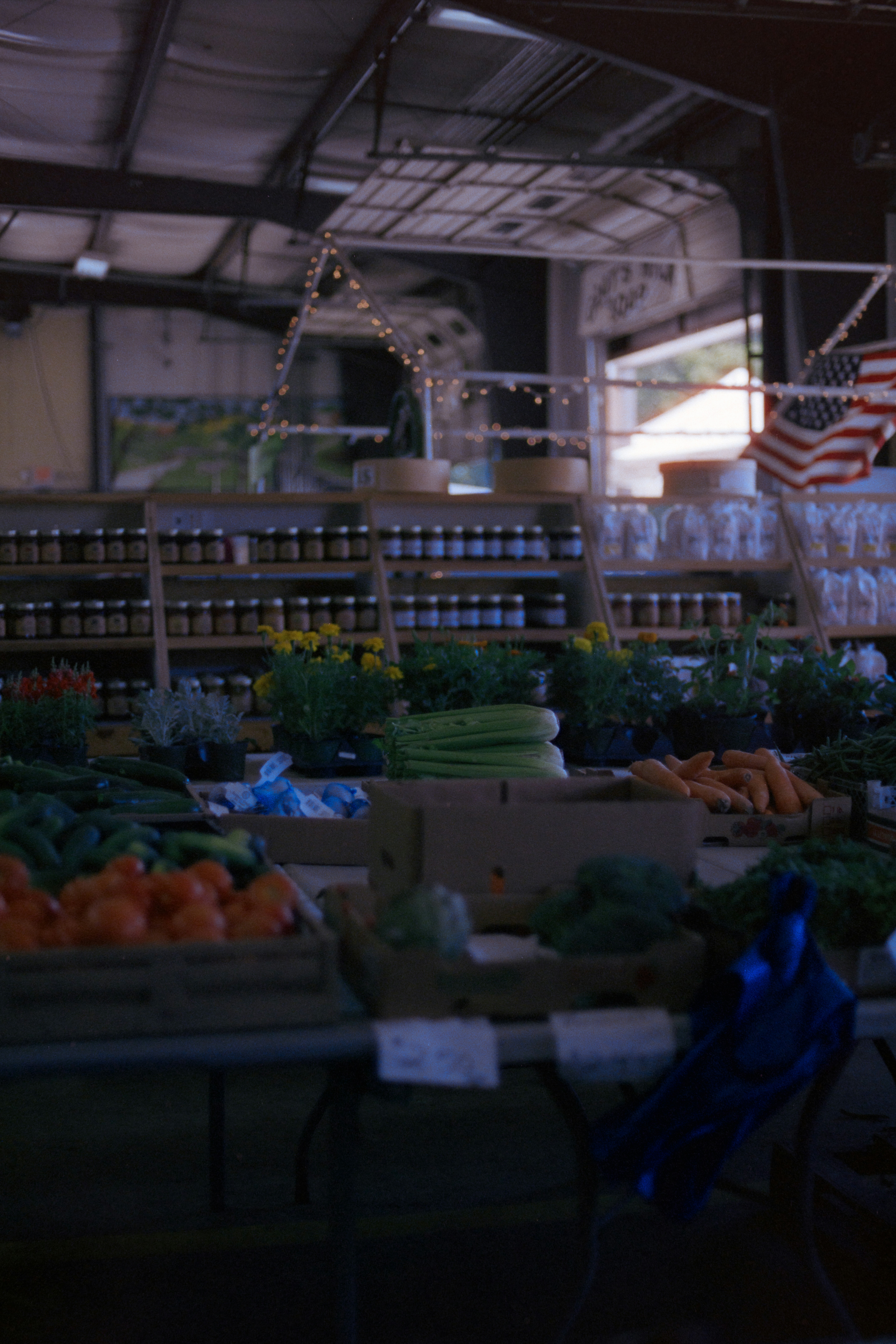 Softly Lit Produce Aisle Under String Lights