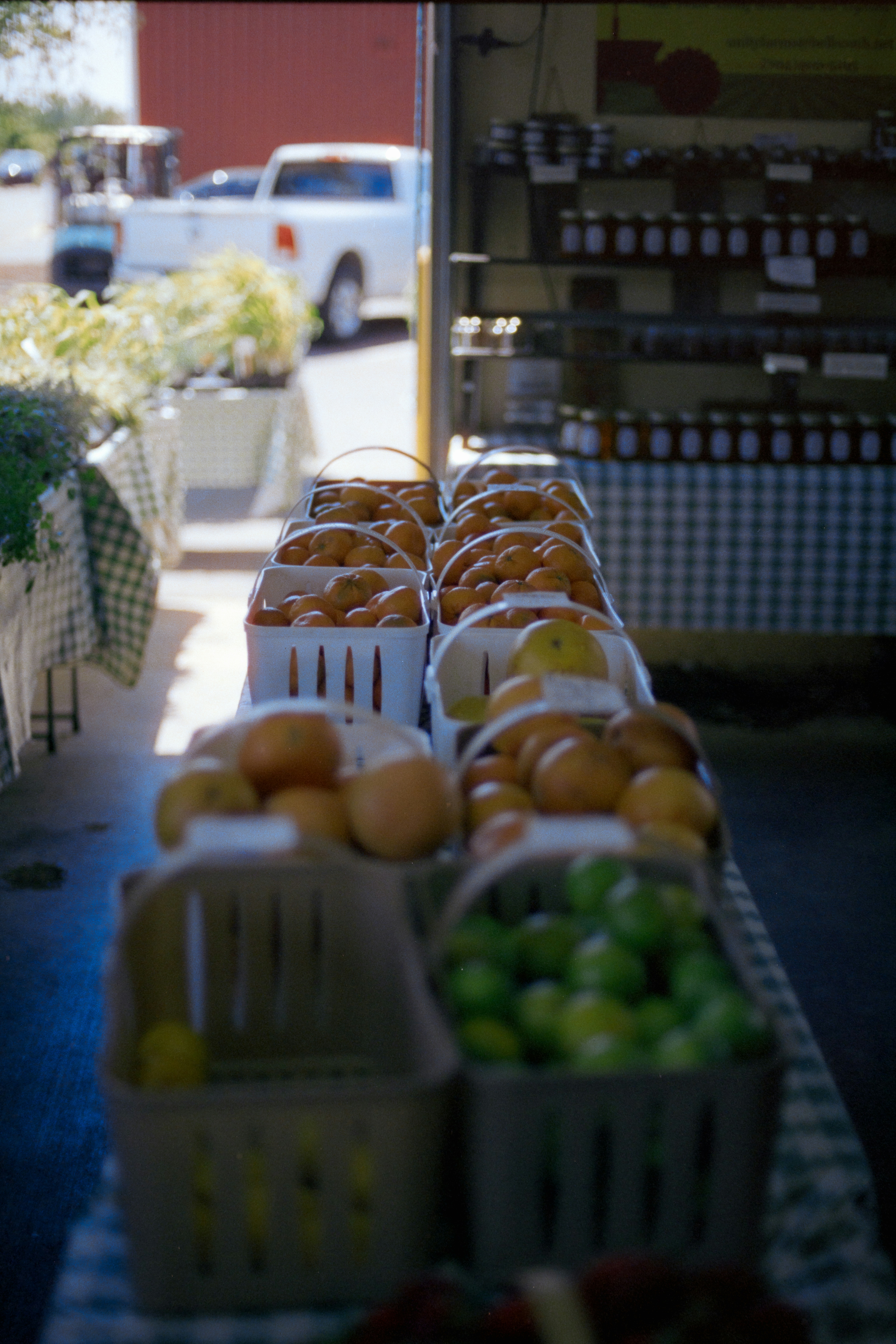 Lemon Orchard Aisle: Fruits Stack in Sunlit Market Stall