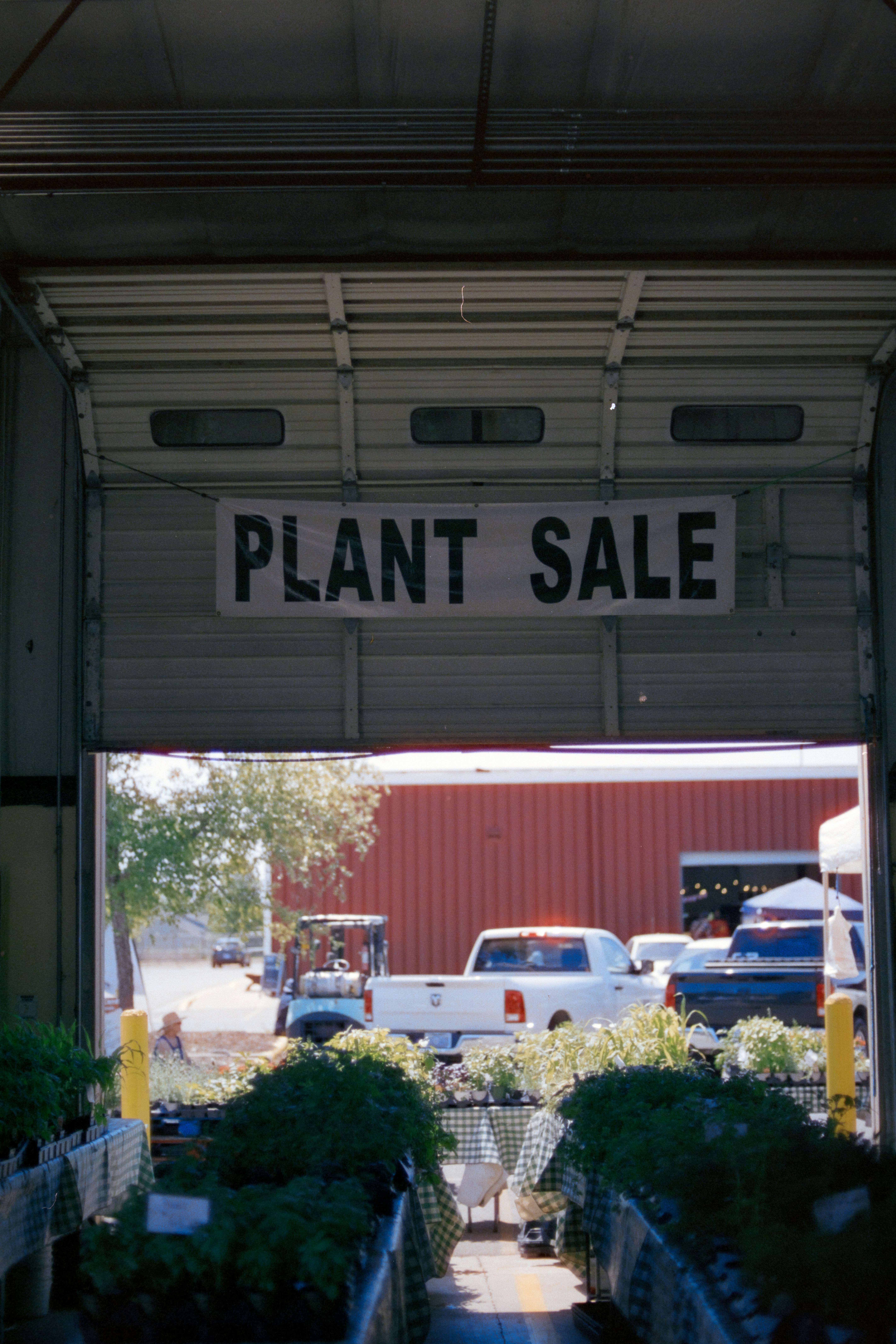 Glimpse of the Market: Plants Bordered by Industrial Threshold