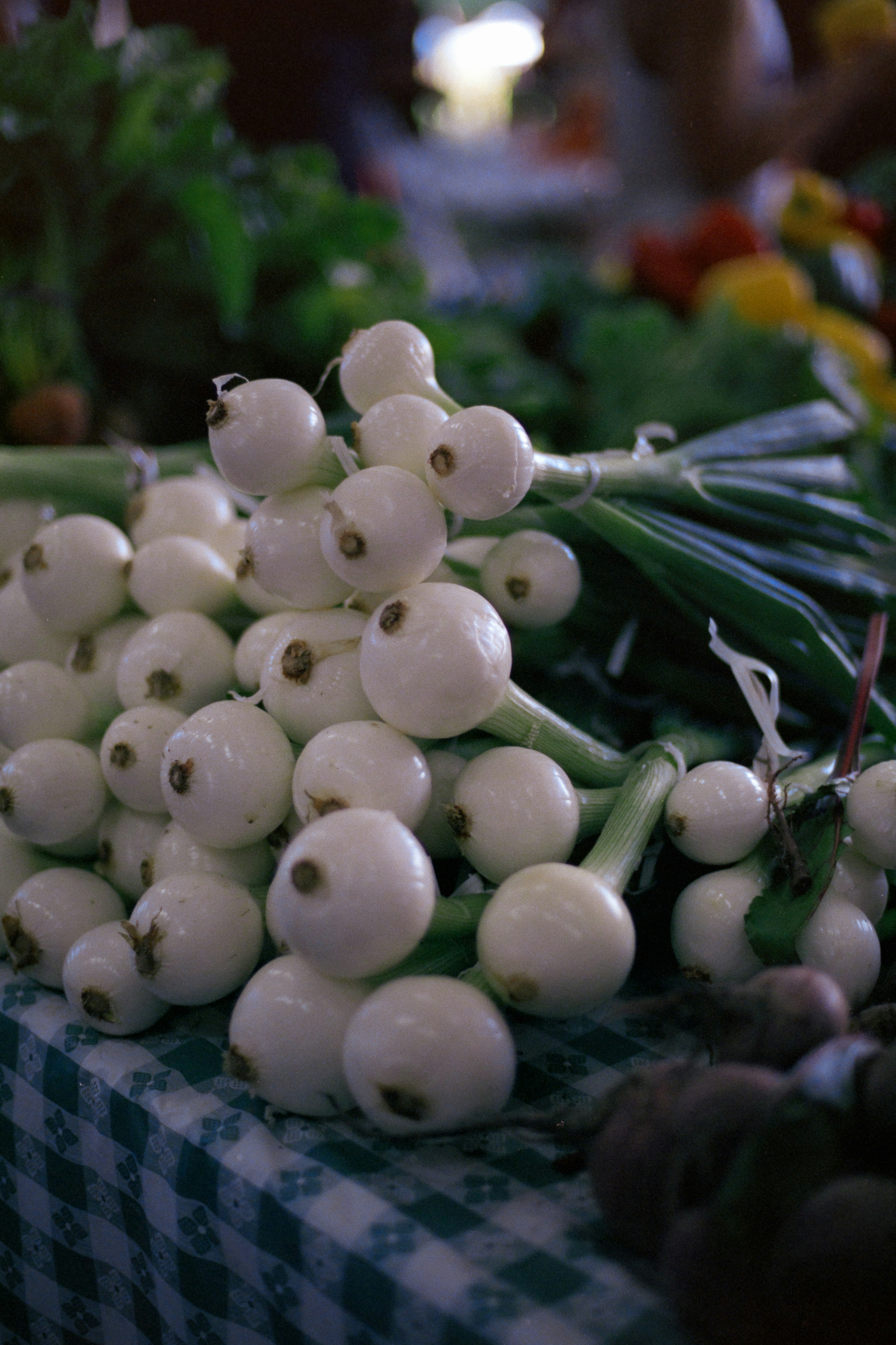 White Bunches at Market Stand