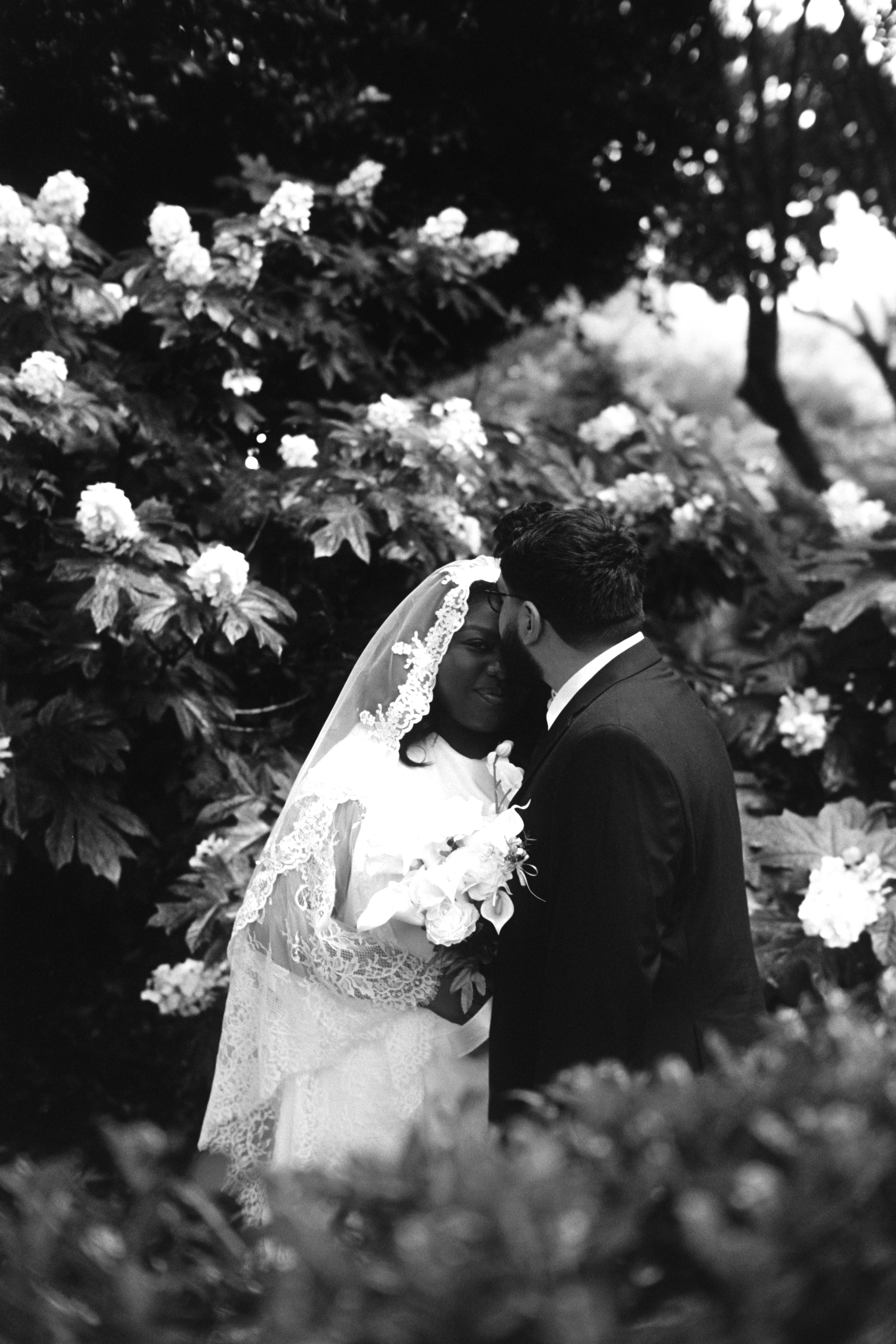 Veil and Vows: A Quiet Exchange Beneath Blooming Canopy