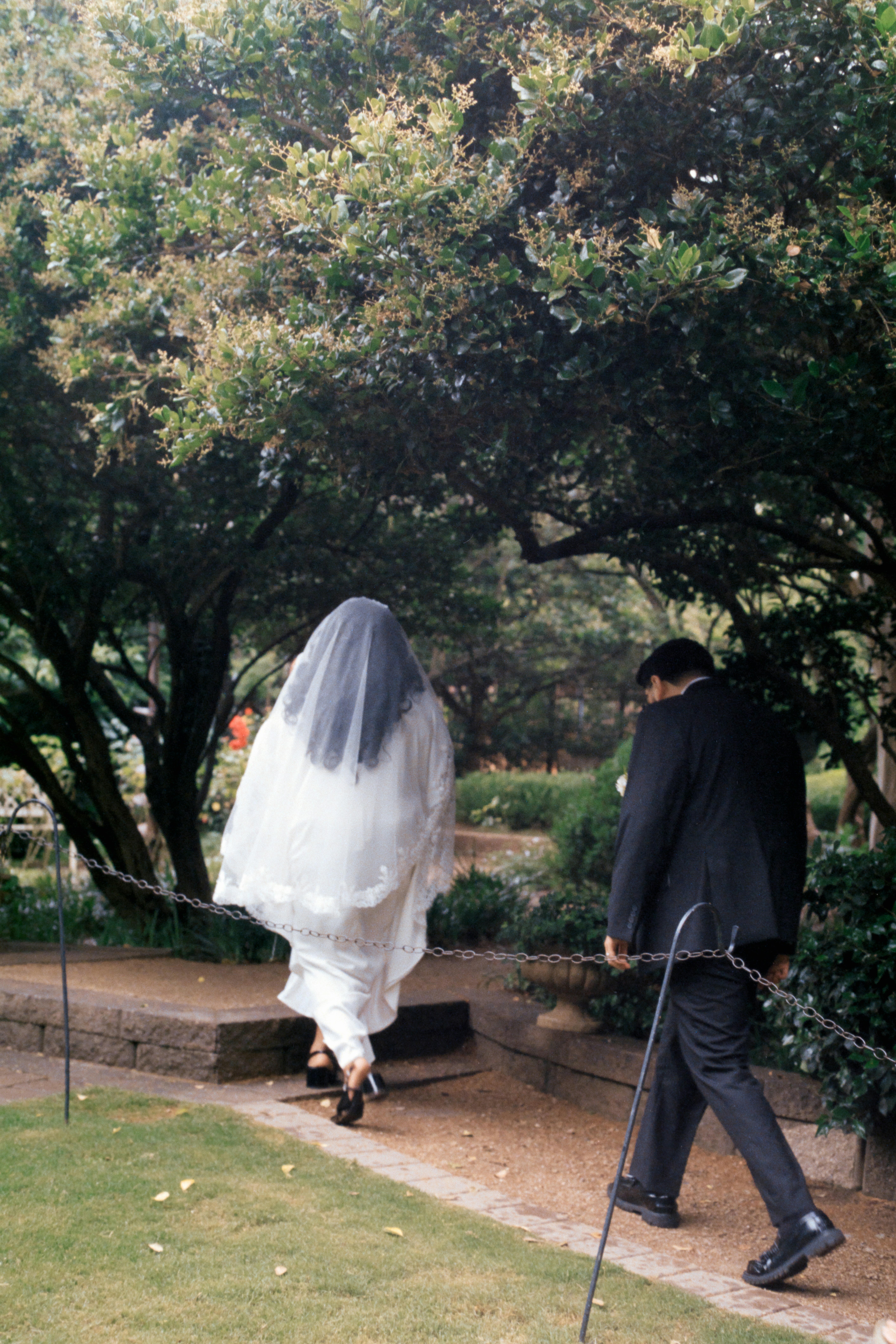 Veil of Time: A Bride and Groom Crossing the Garden Path