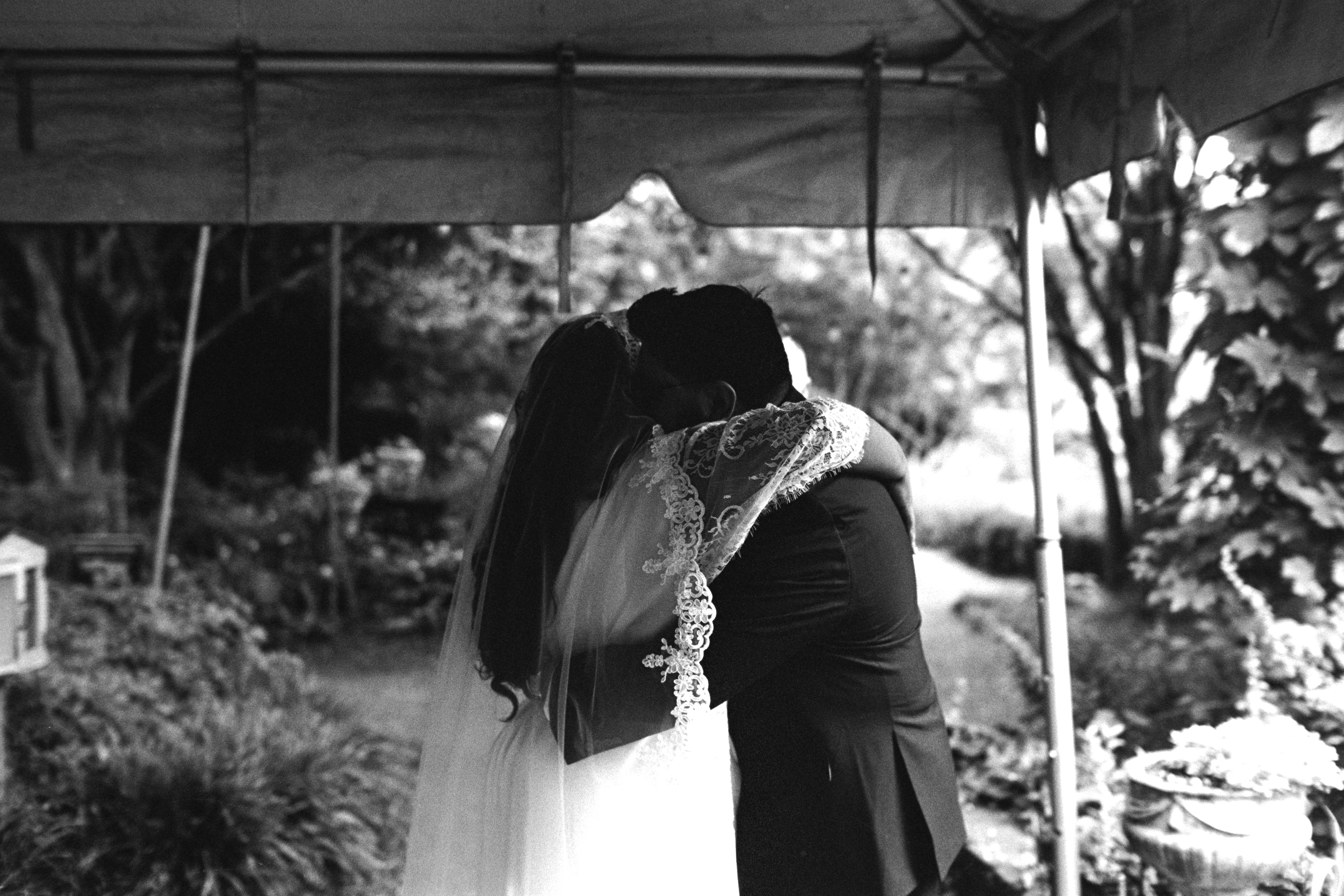 Veil and Vows: a Quiet Kiss Beneath the Canopy