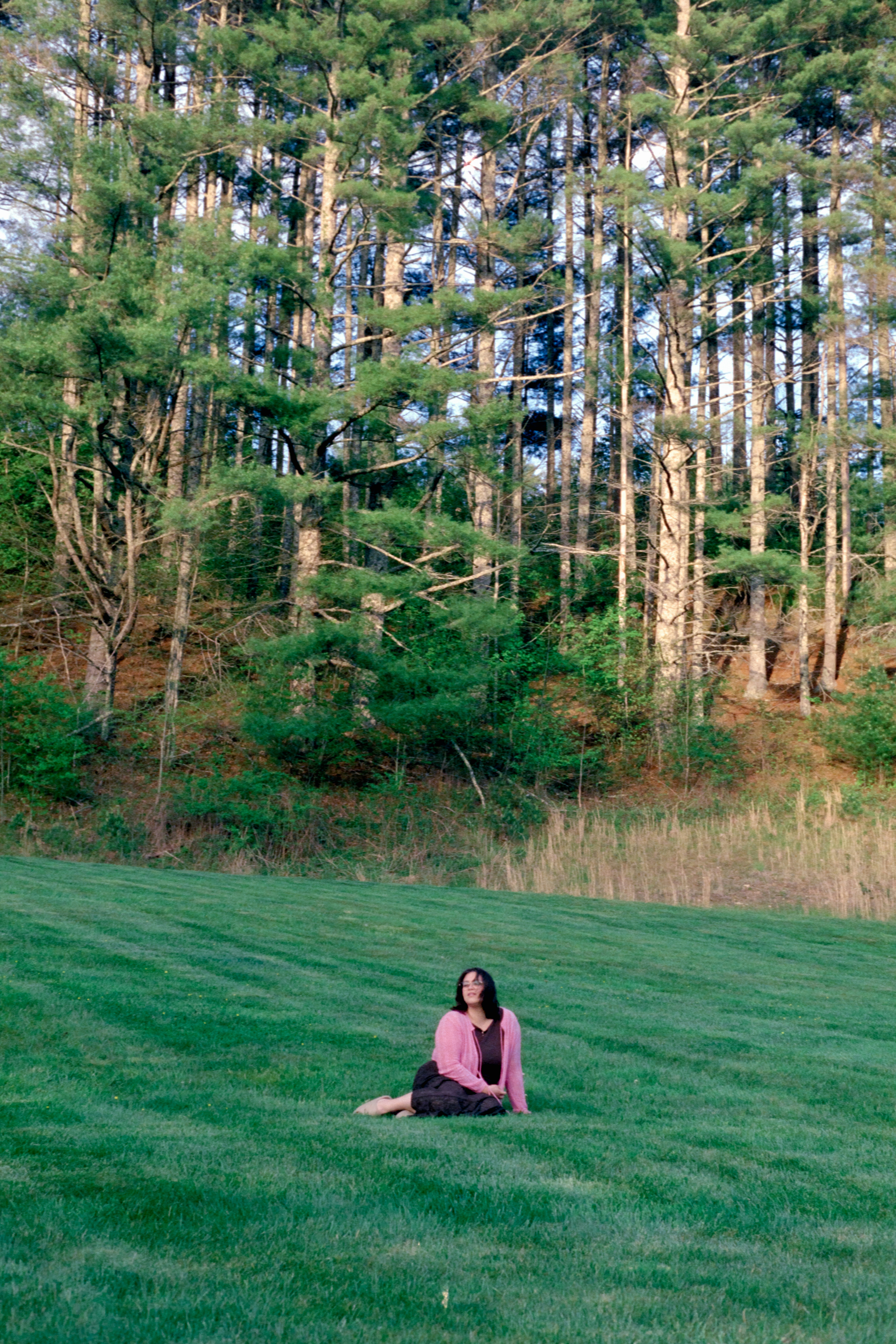 A Quiet Moment on the Green Verge