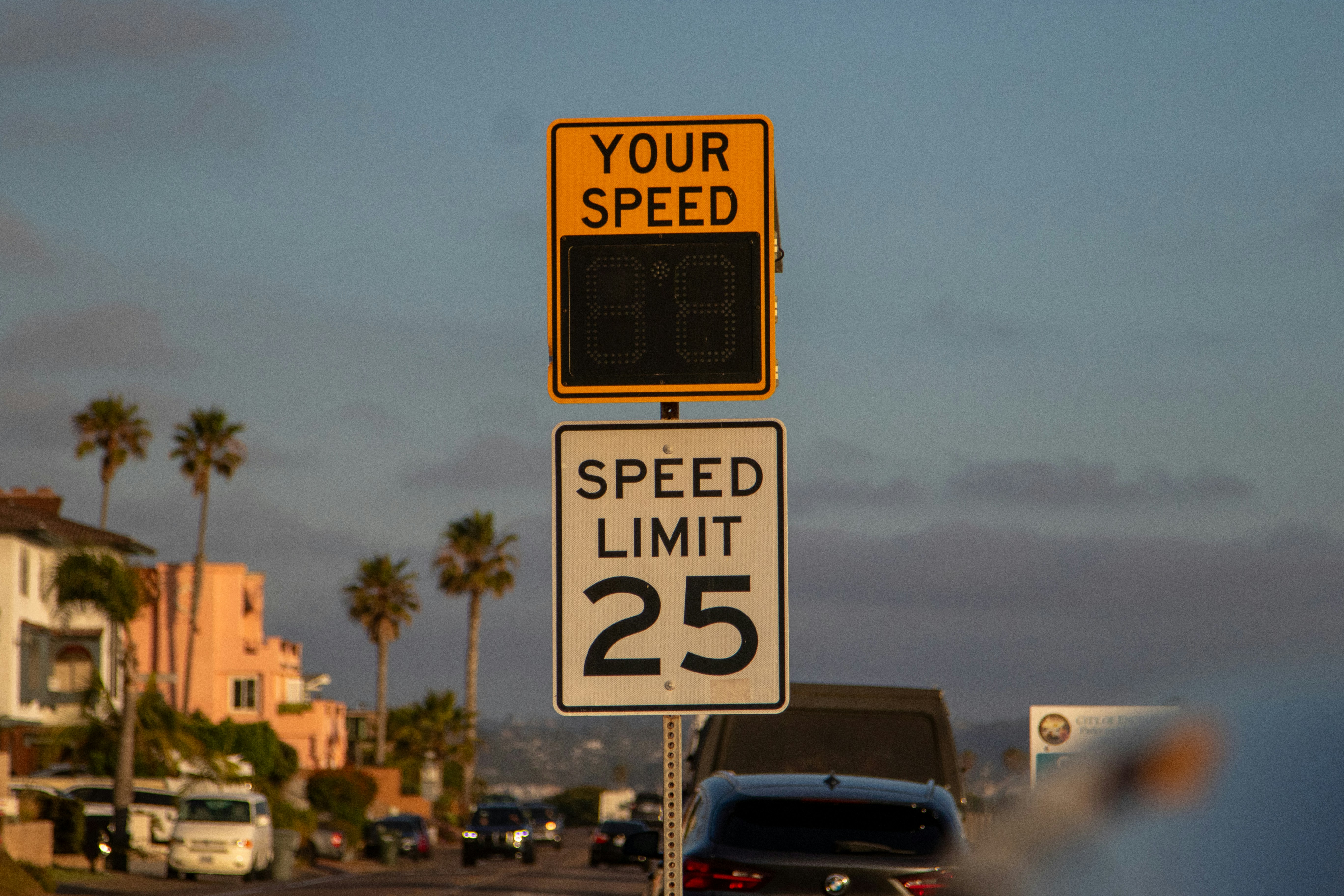 Golden Hour Street: Speed Sign Backdrop and Palm silhouettes