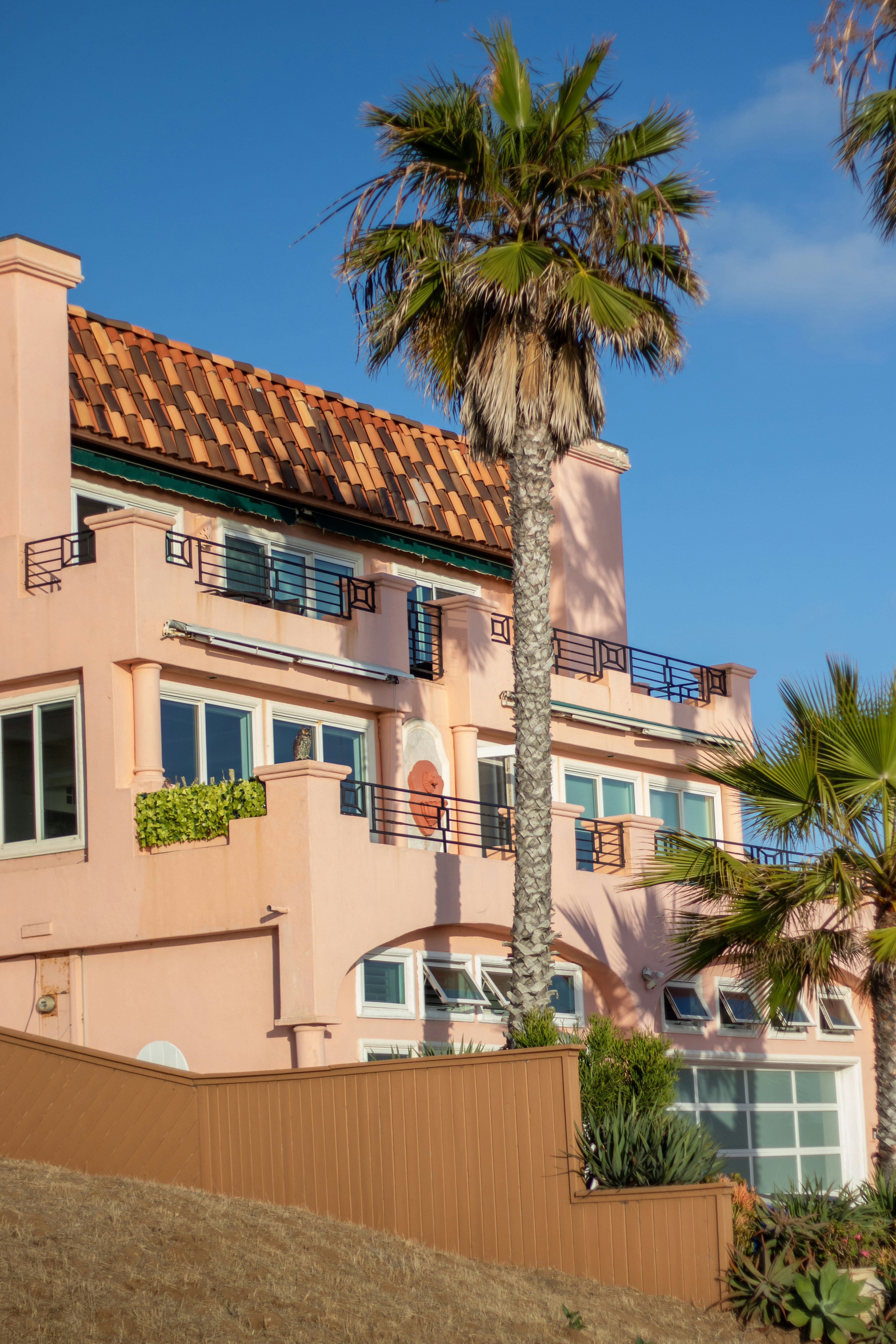 Sunlit Sojourn: Coral-Pink Villa under a Palm canopy