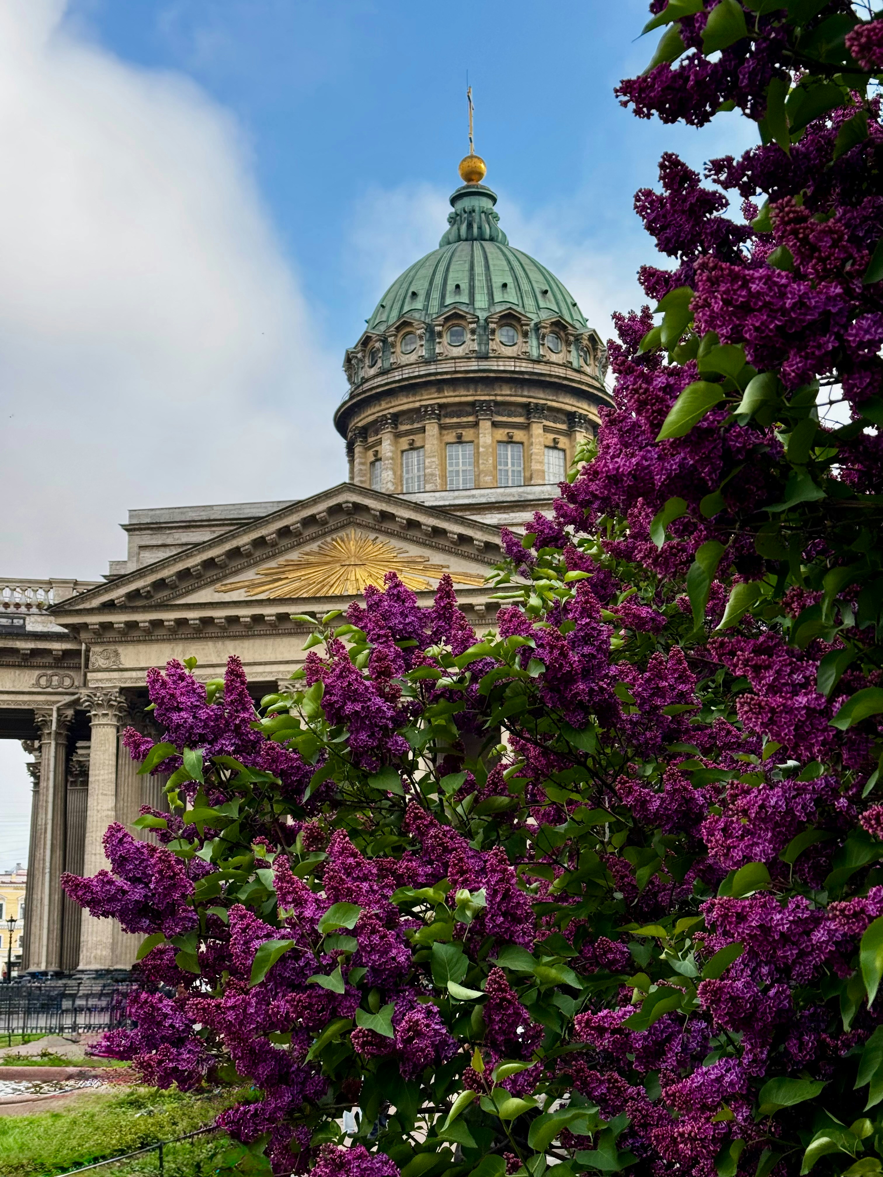 A Dignified Facade Framed by Purple Bunches