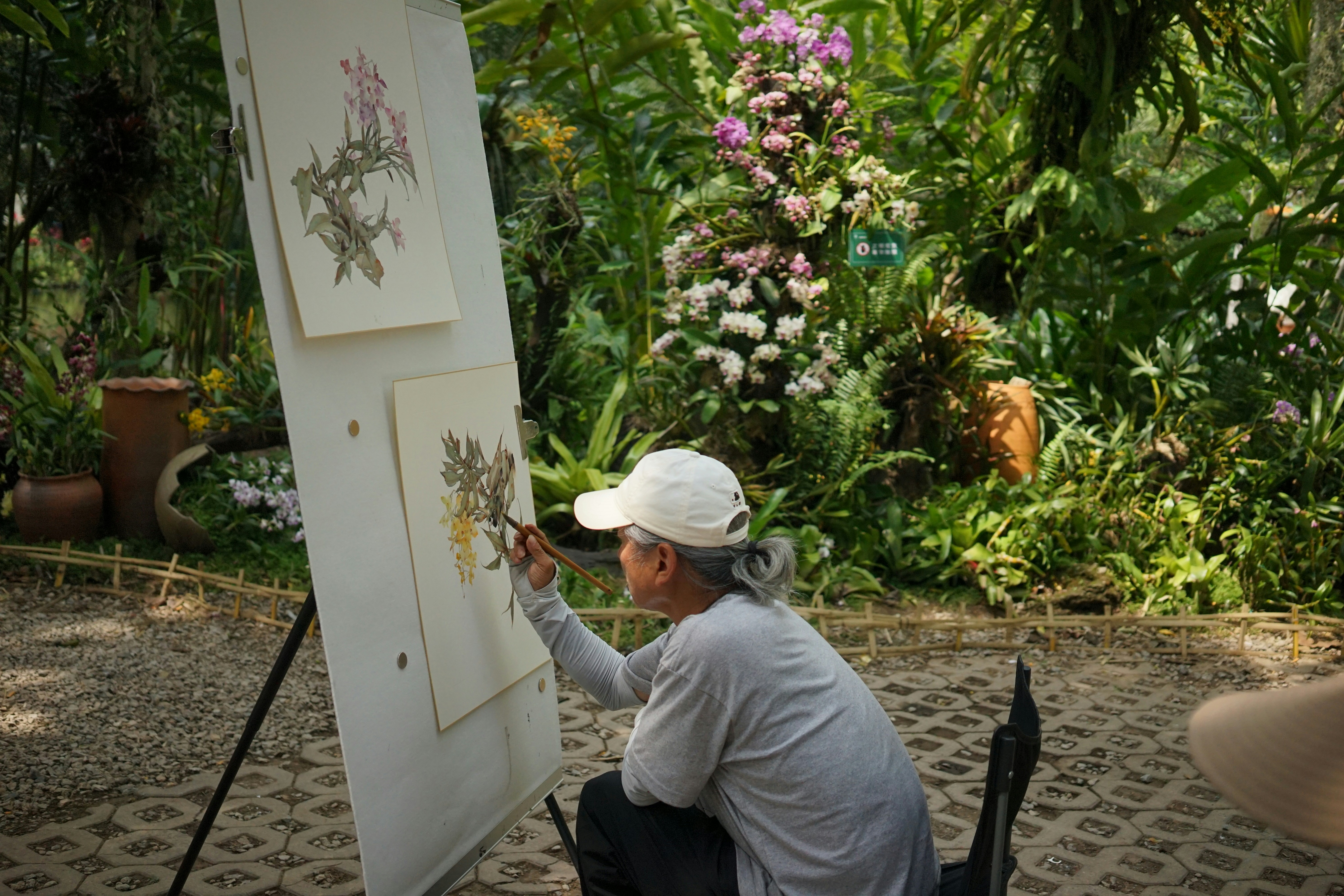 Artist in Transit: a seated painter frames botanicals on a sunlit board