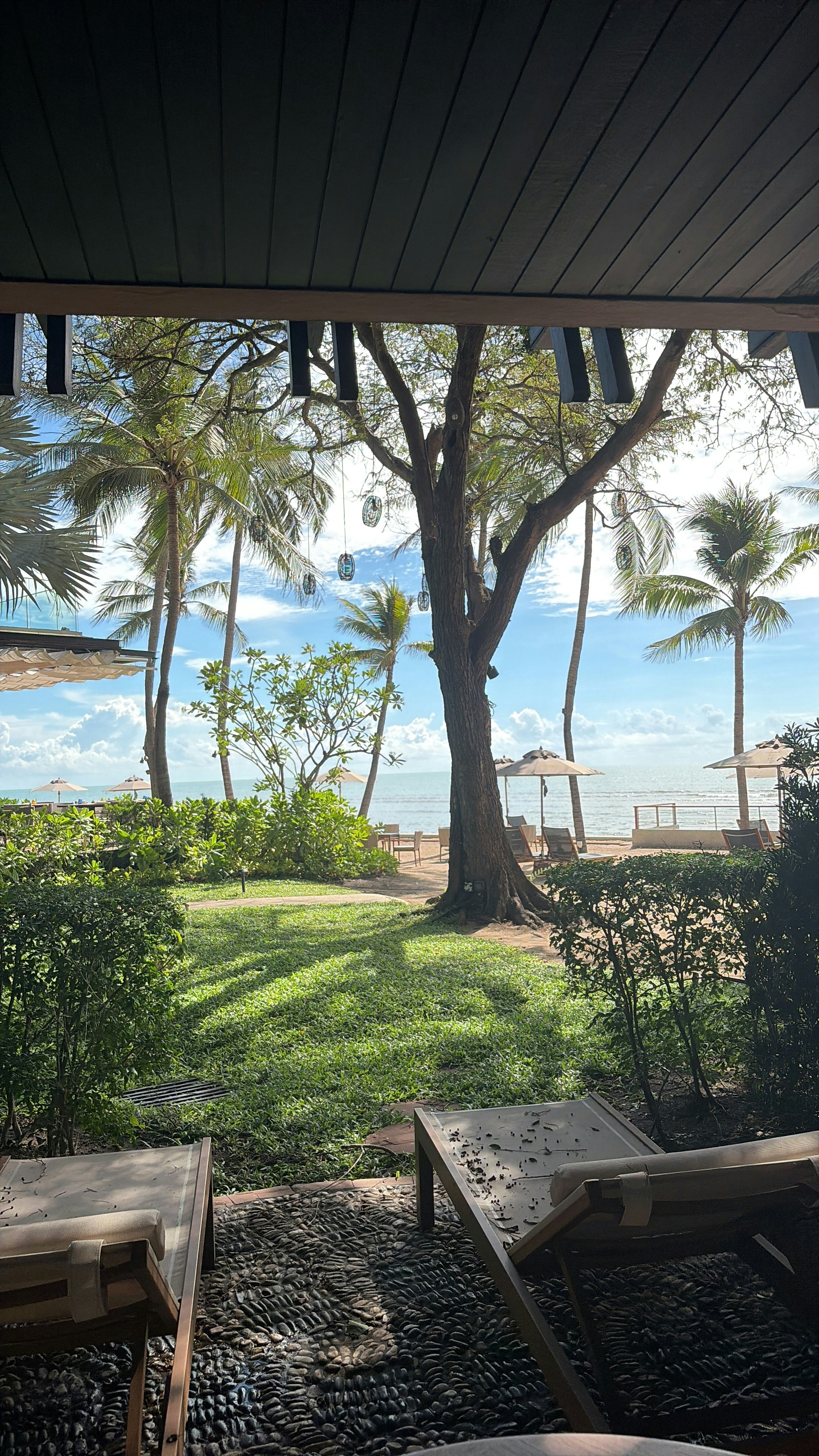 Shaded Terrace Overlooking a Palm-Lined Beach