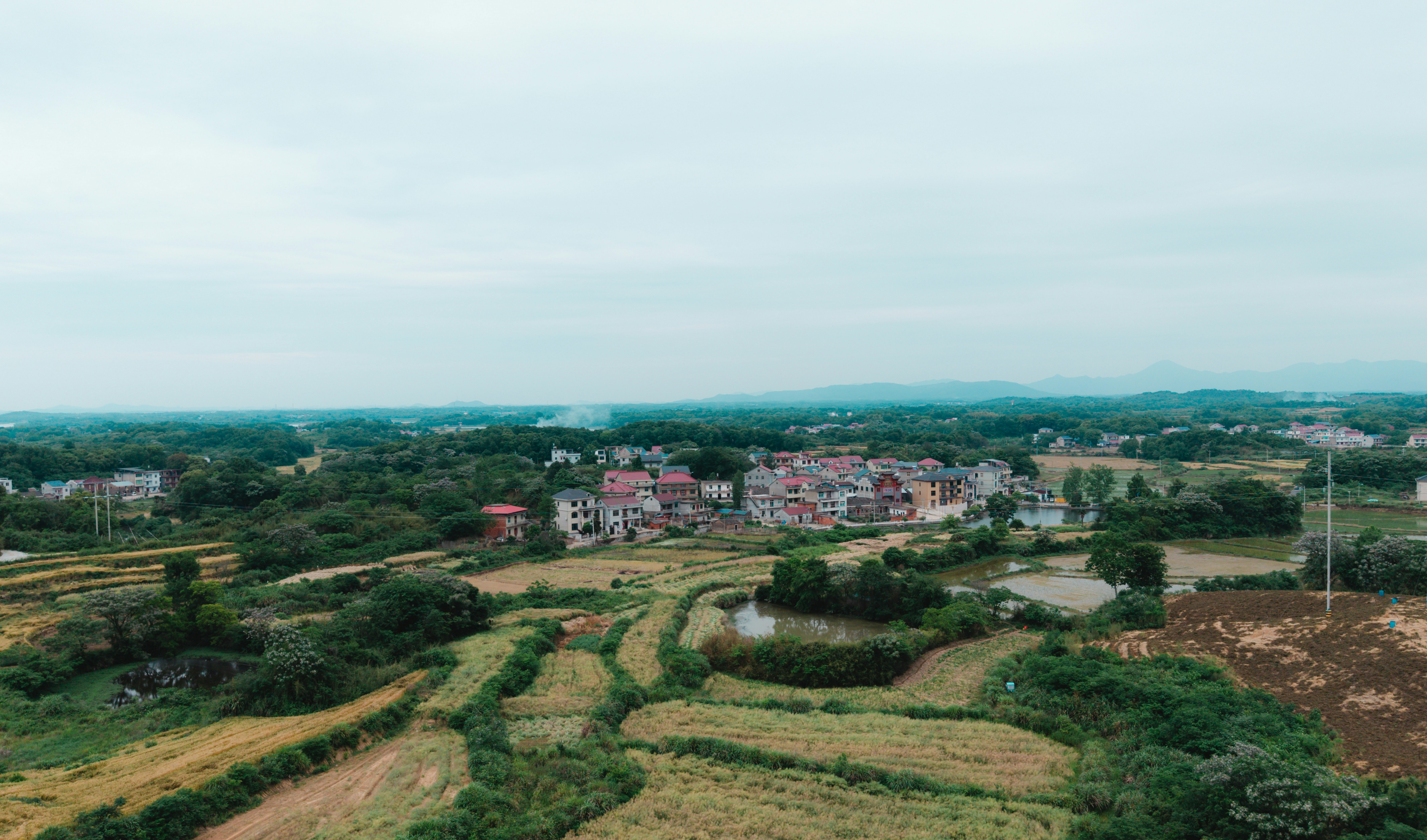 中国乡村 茶山 湖口都昌