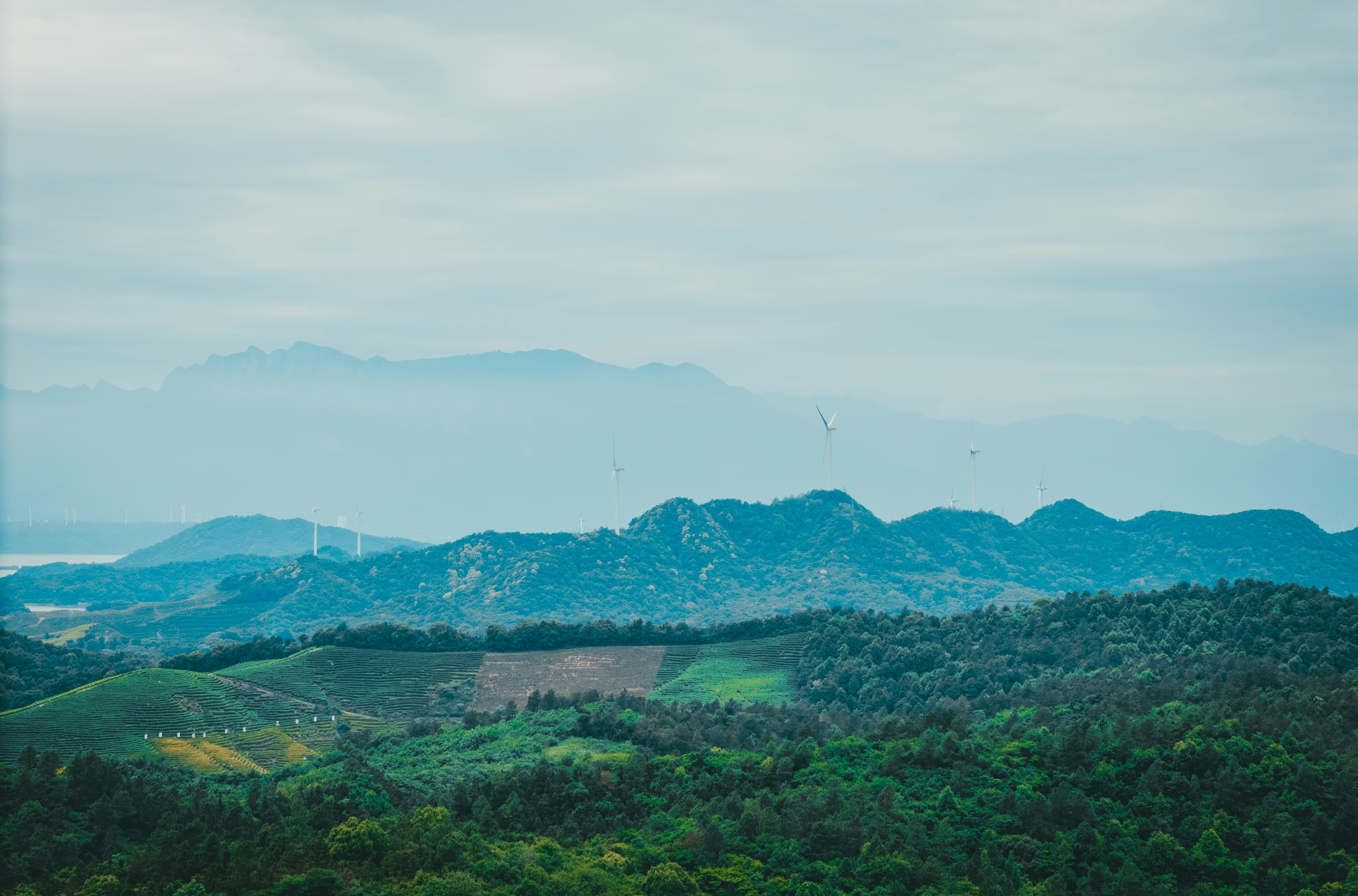 中国乡村 茶山 湖口都昌