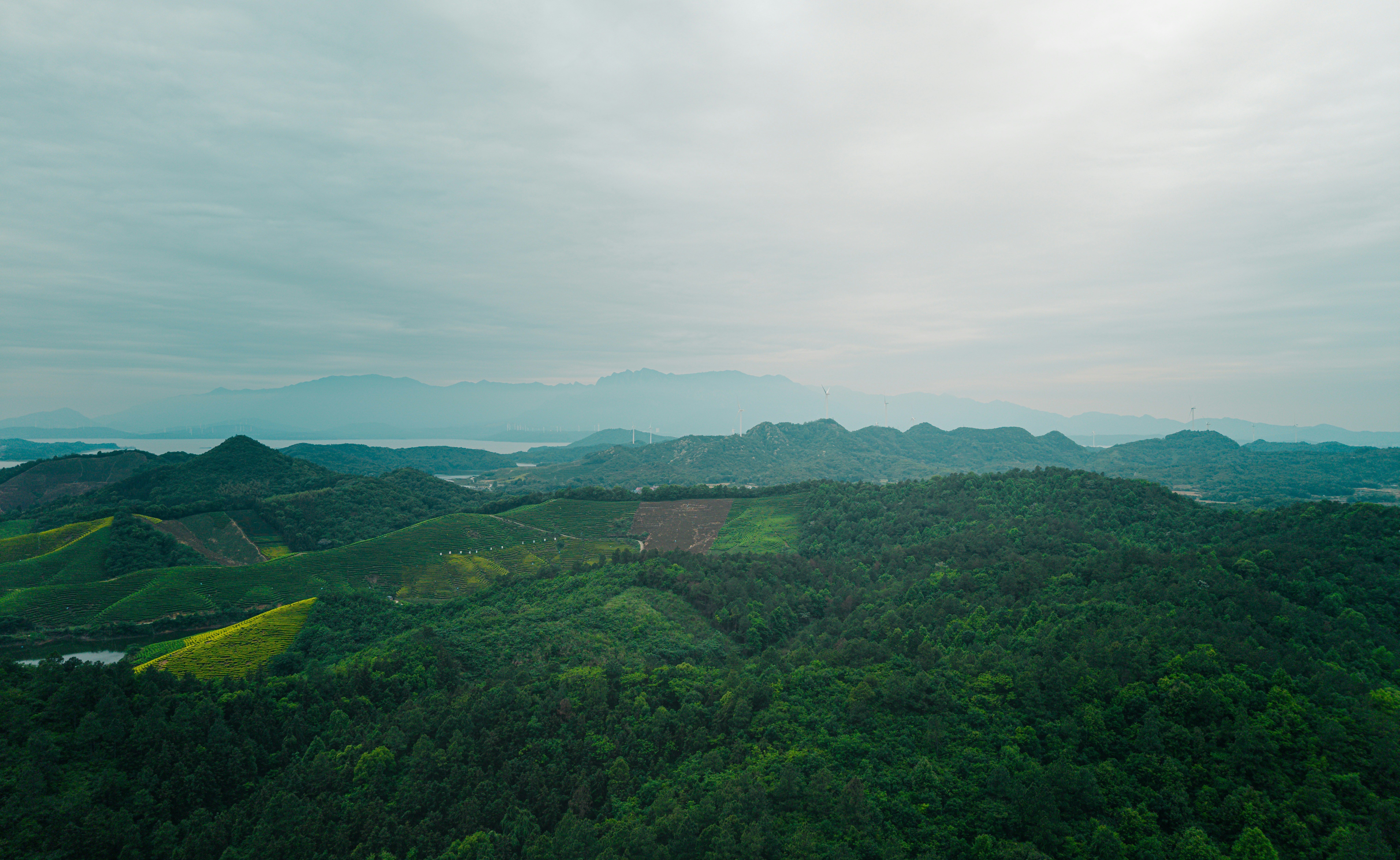 中国乡村 茶山 湖口都昌