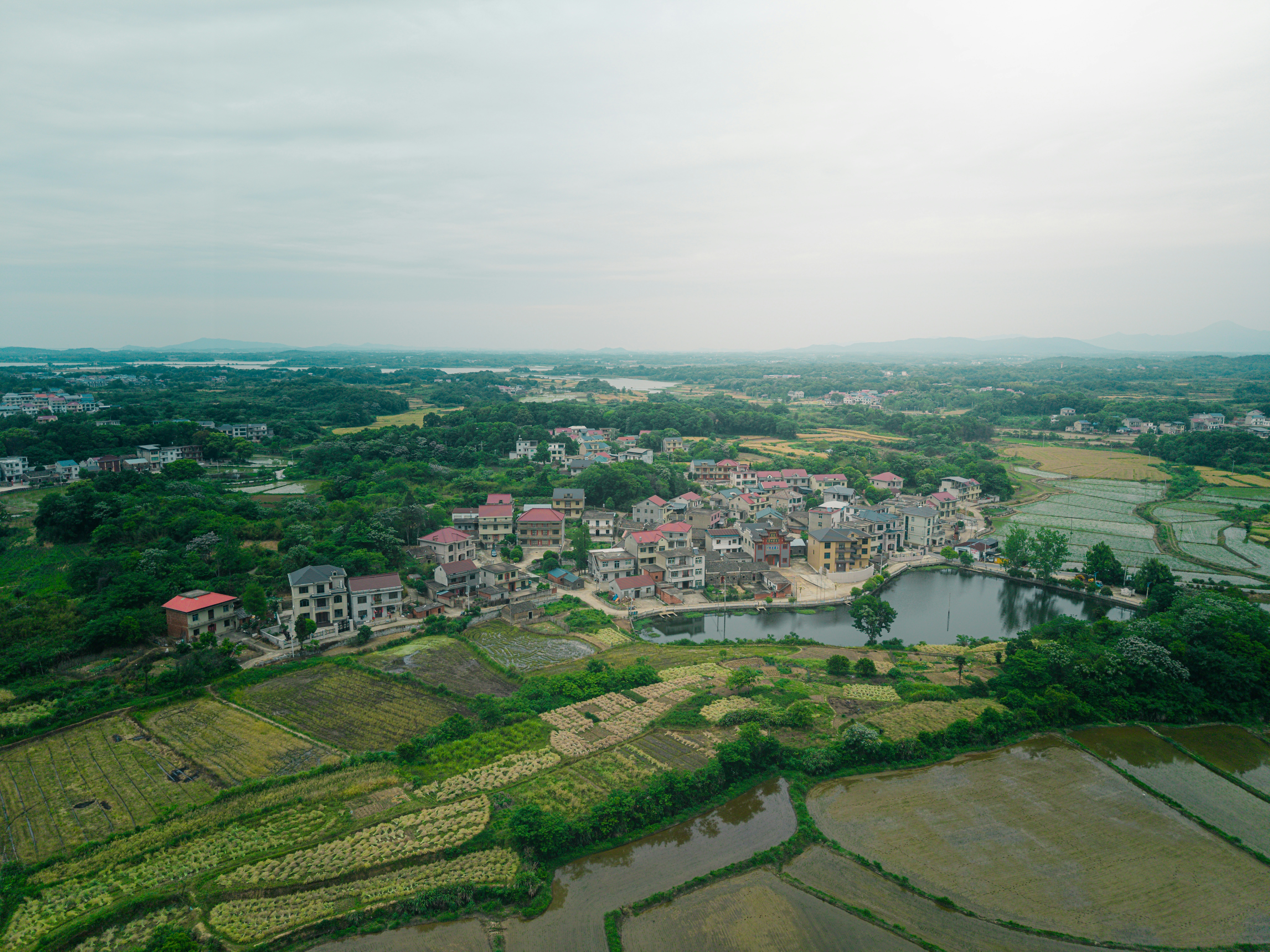 Terraced Fields and Village Cluster Nestled Along a Serene Waterway