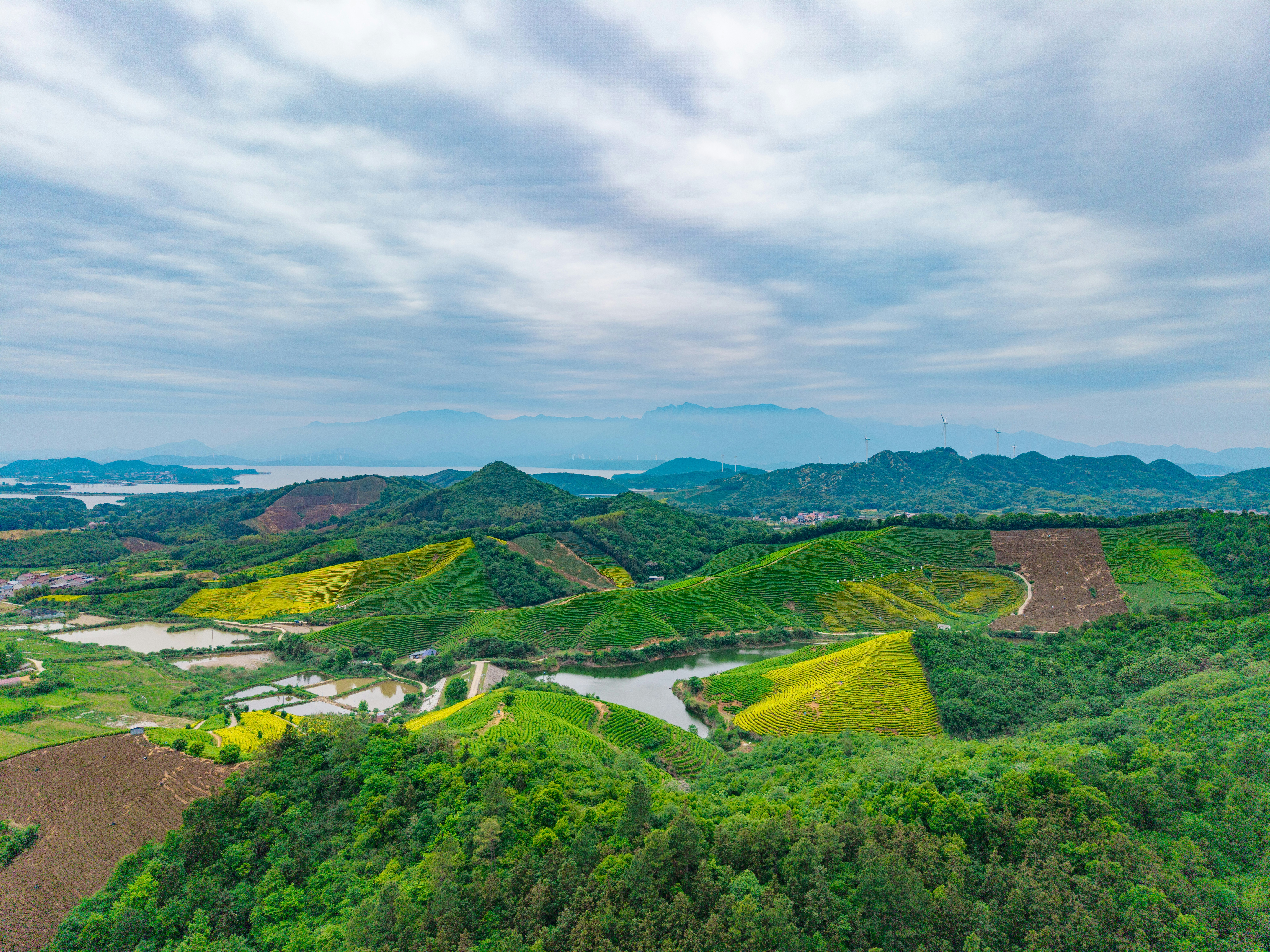Aerial view of green hills, yellow fields, and winding river.