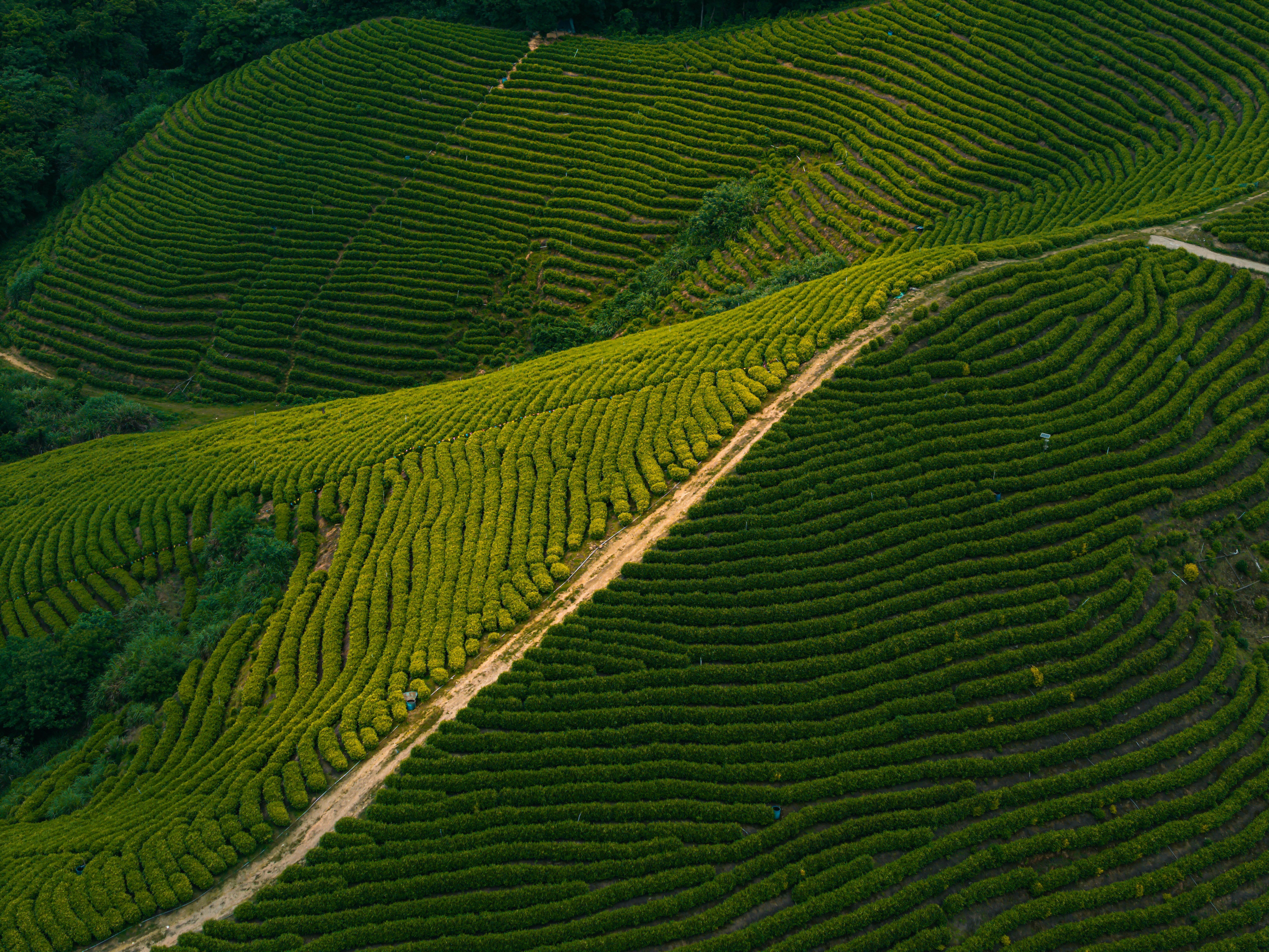 Sample photo from DJI Air 3S