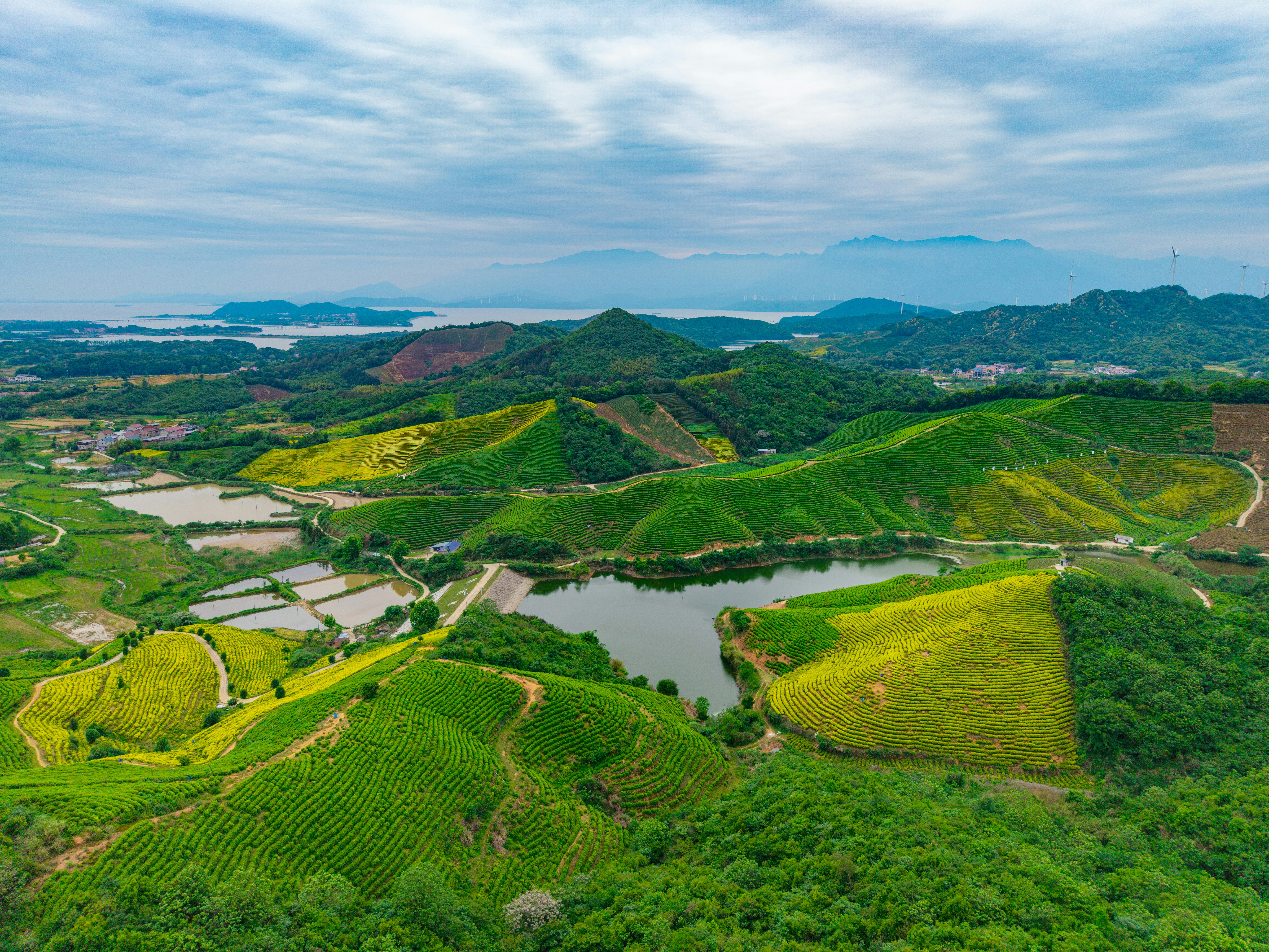 中国乡村 茶山 湖口都昌