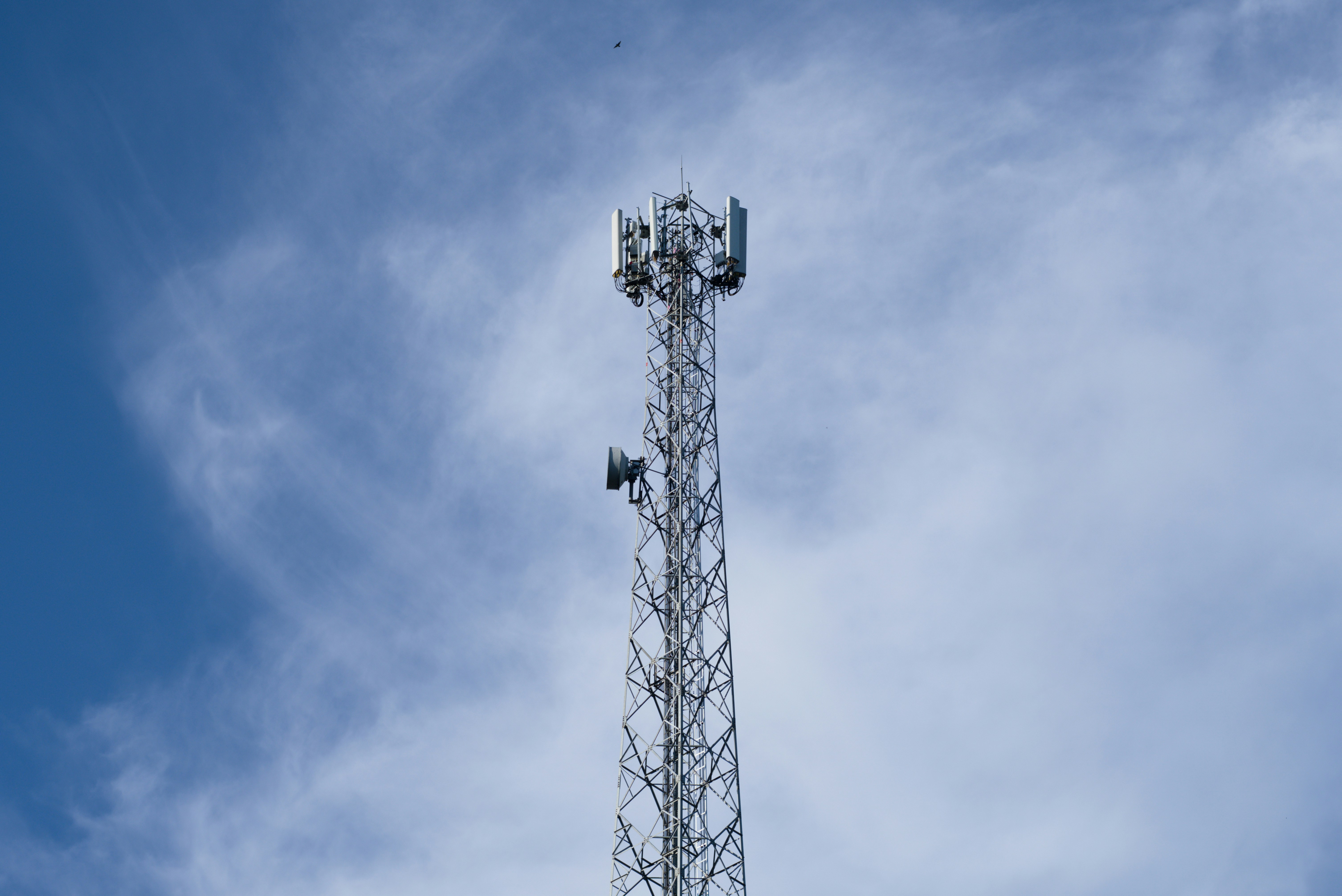 Skyward Signal: A lone Cellular Tower Against a Clean Azure