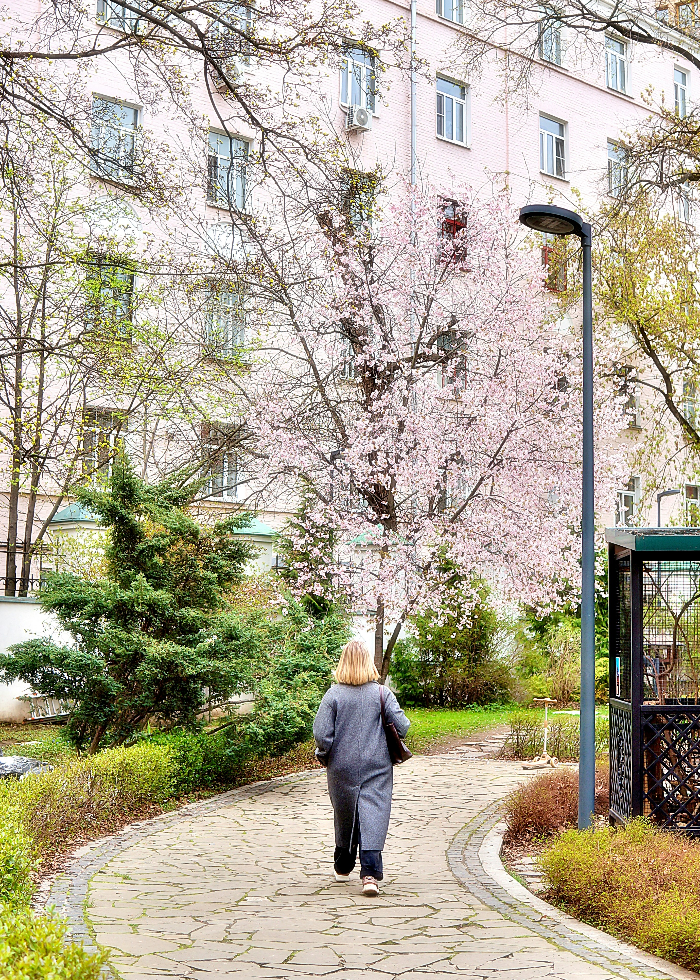 Woman walking along a blossoming courtyard path amid trees and a pastel apartment building.