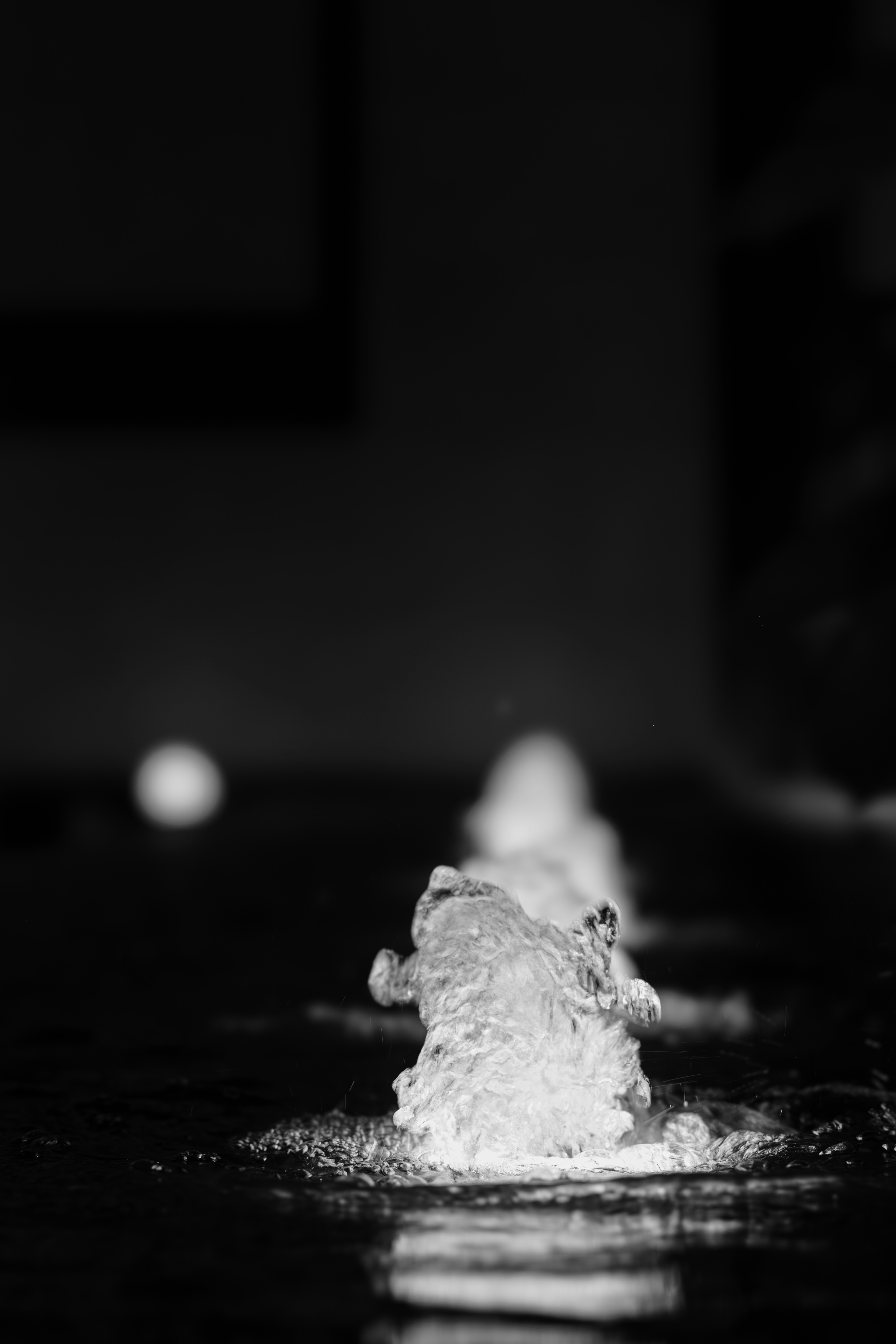 Backlit Splash: Moonlit Frog Silhouette on Dark Surface