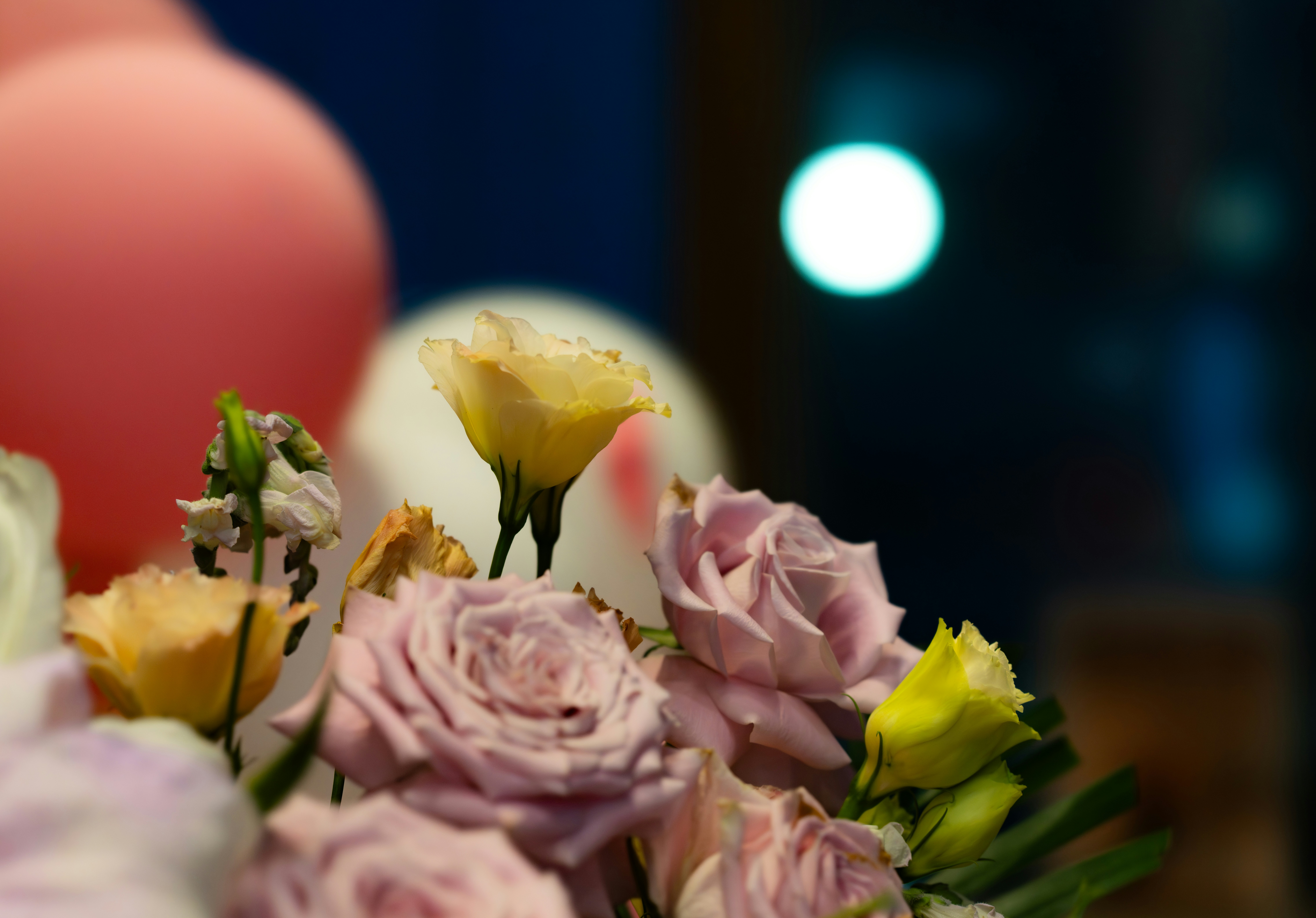 Petal Spotlight: A Muted Bouquet in Soft Evening Light