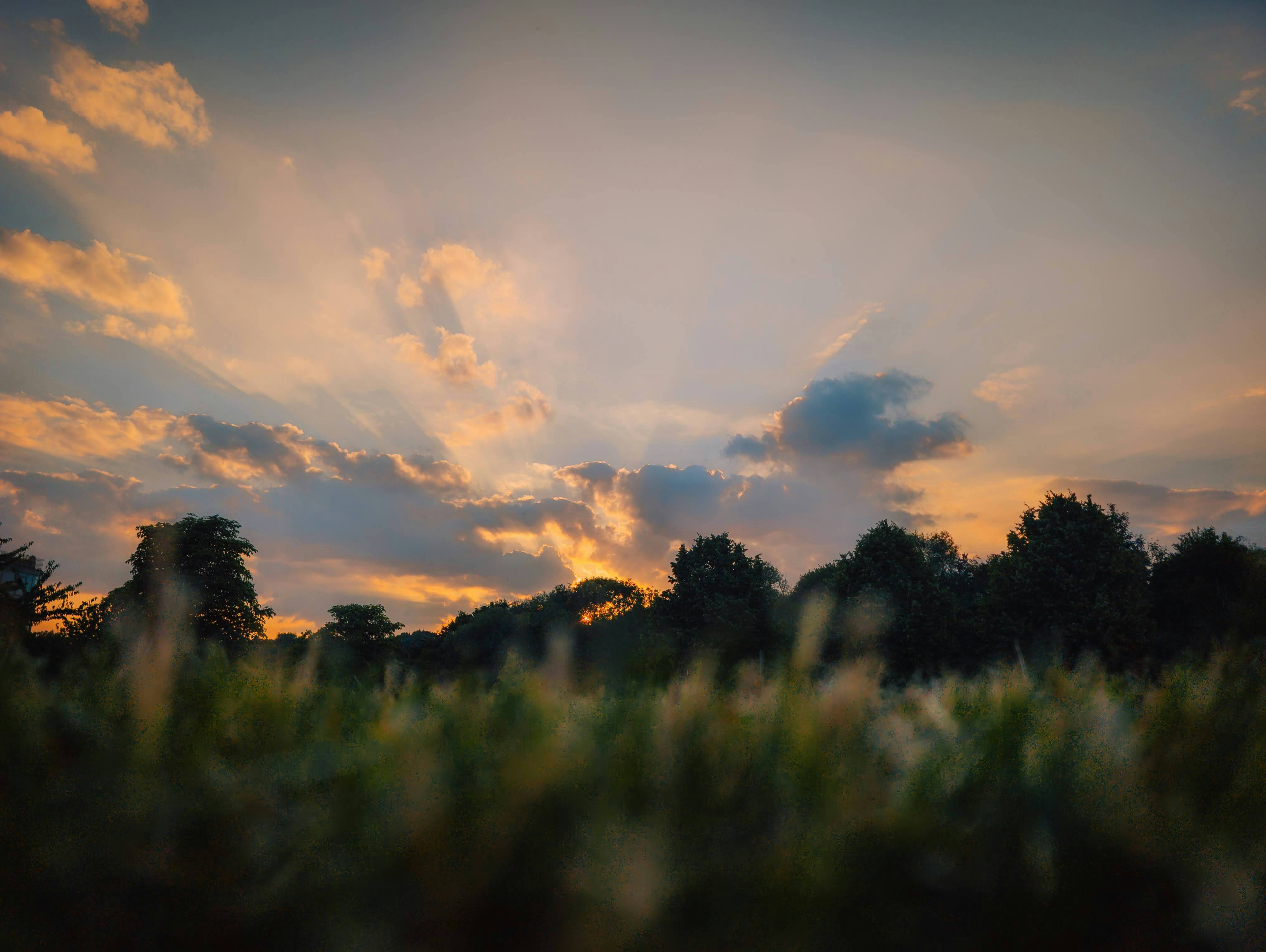 Dawn Ridge: Soft Light Over a Quiet Field