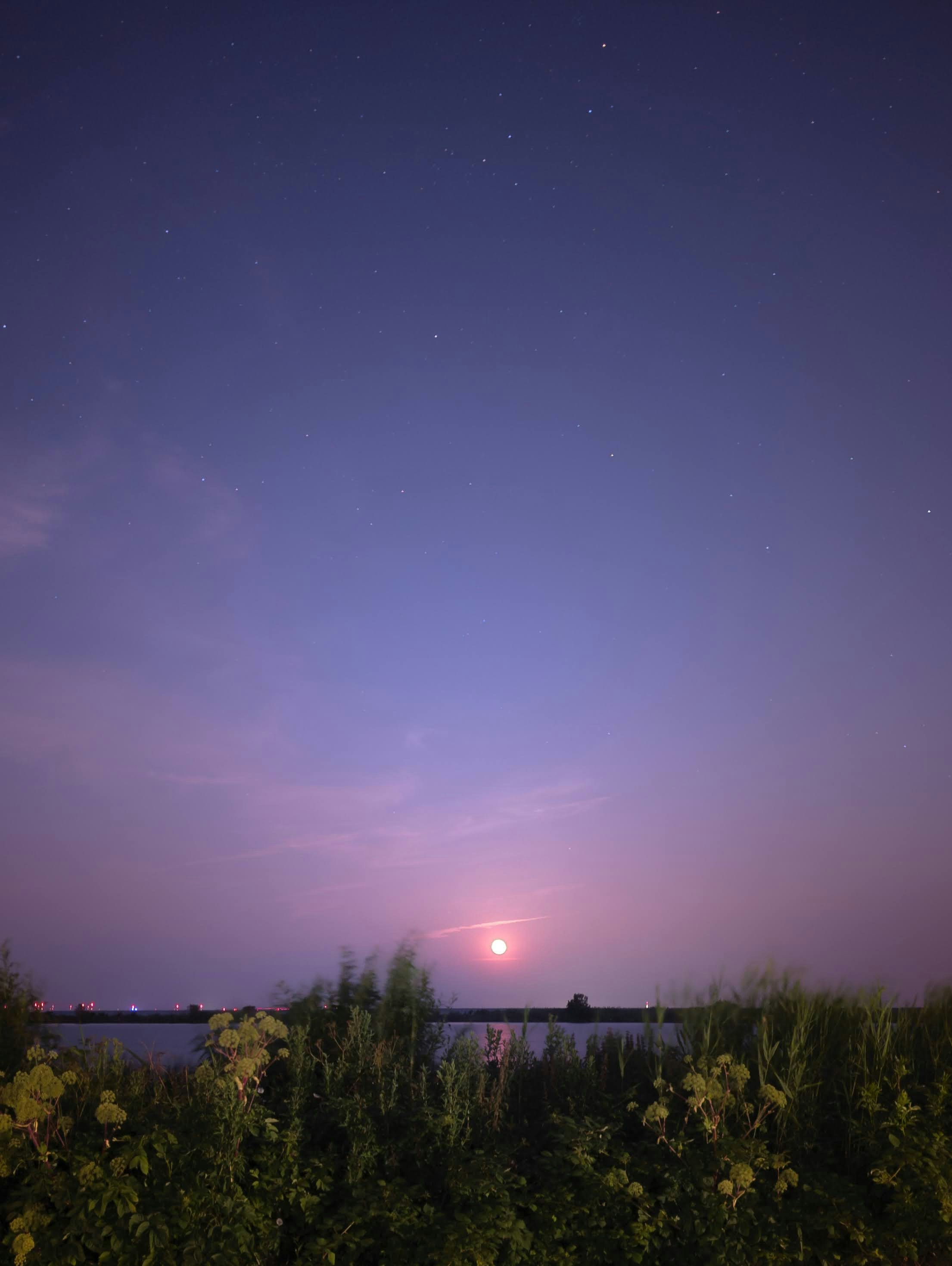 Moonrise Over Reeded Horizon: A Quiet Night by the Water