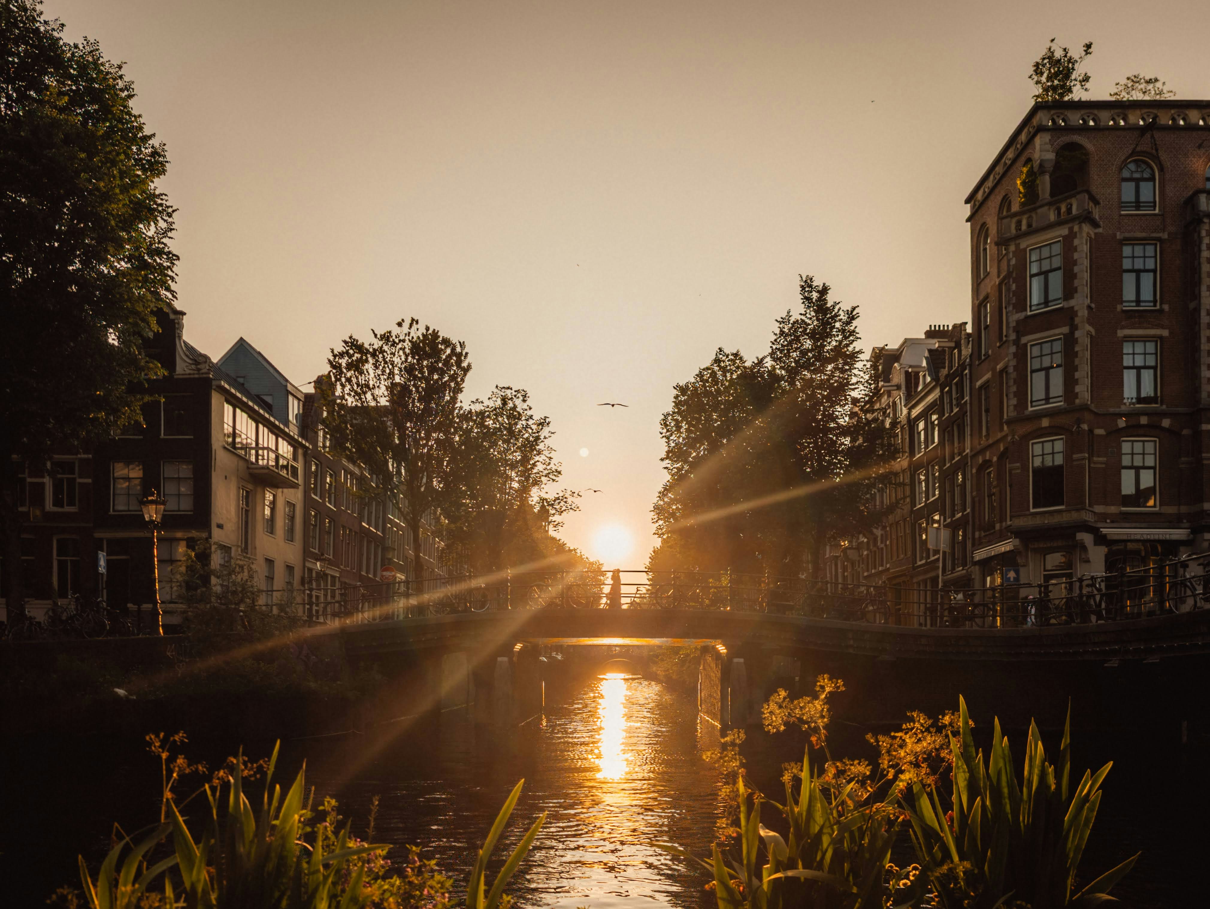 Sunlit Canal Courtyard: Evening Reach Toward the Bridge