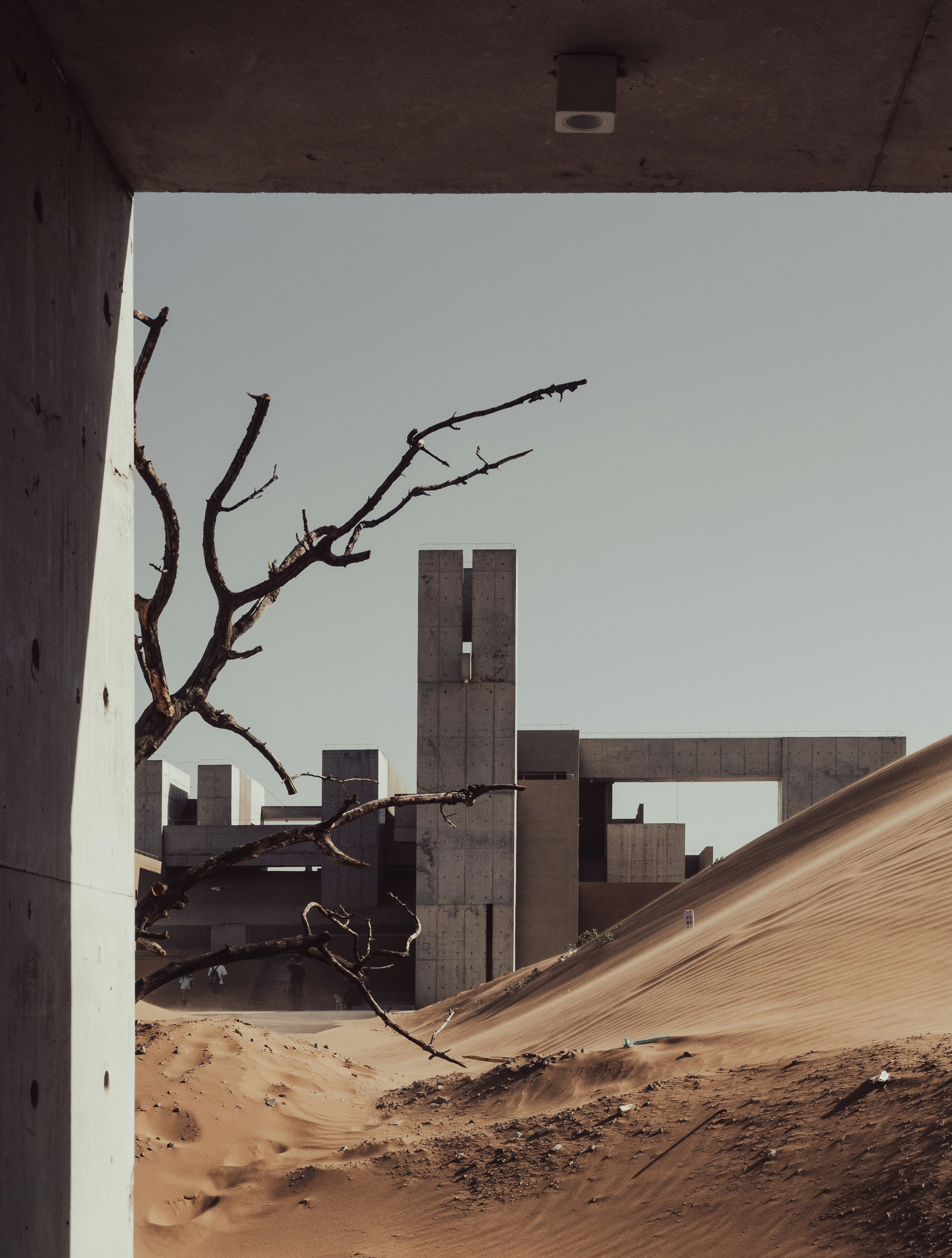 Brutalist concrete architecture buried in desert sand with dead tree.