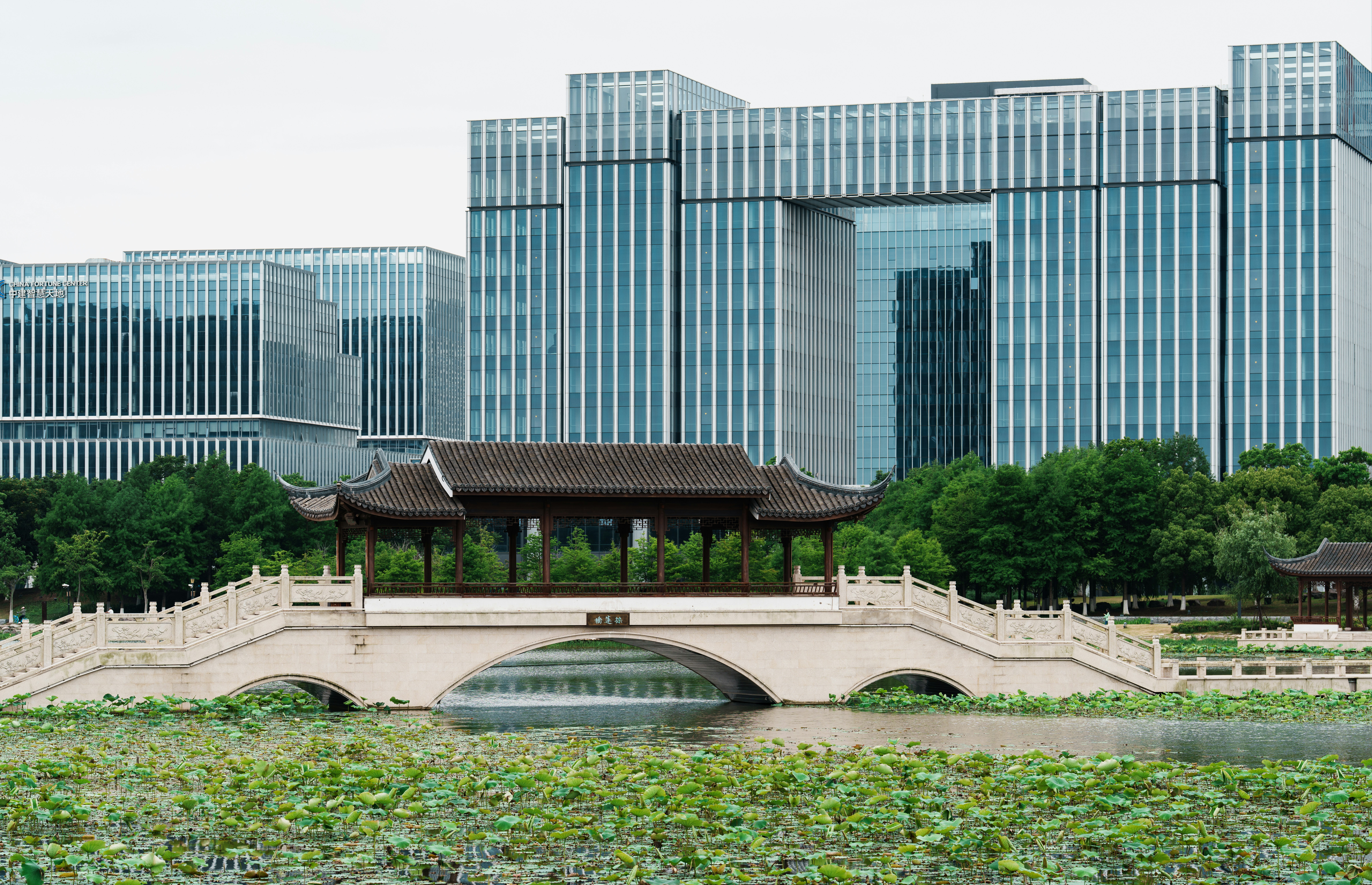 Echoes of Stone: Heritage Bridge Before Glass Skyscrapers