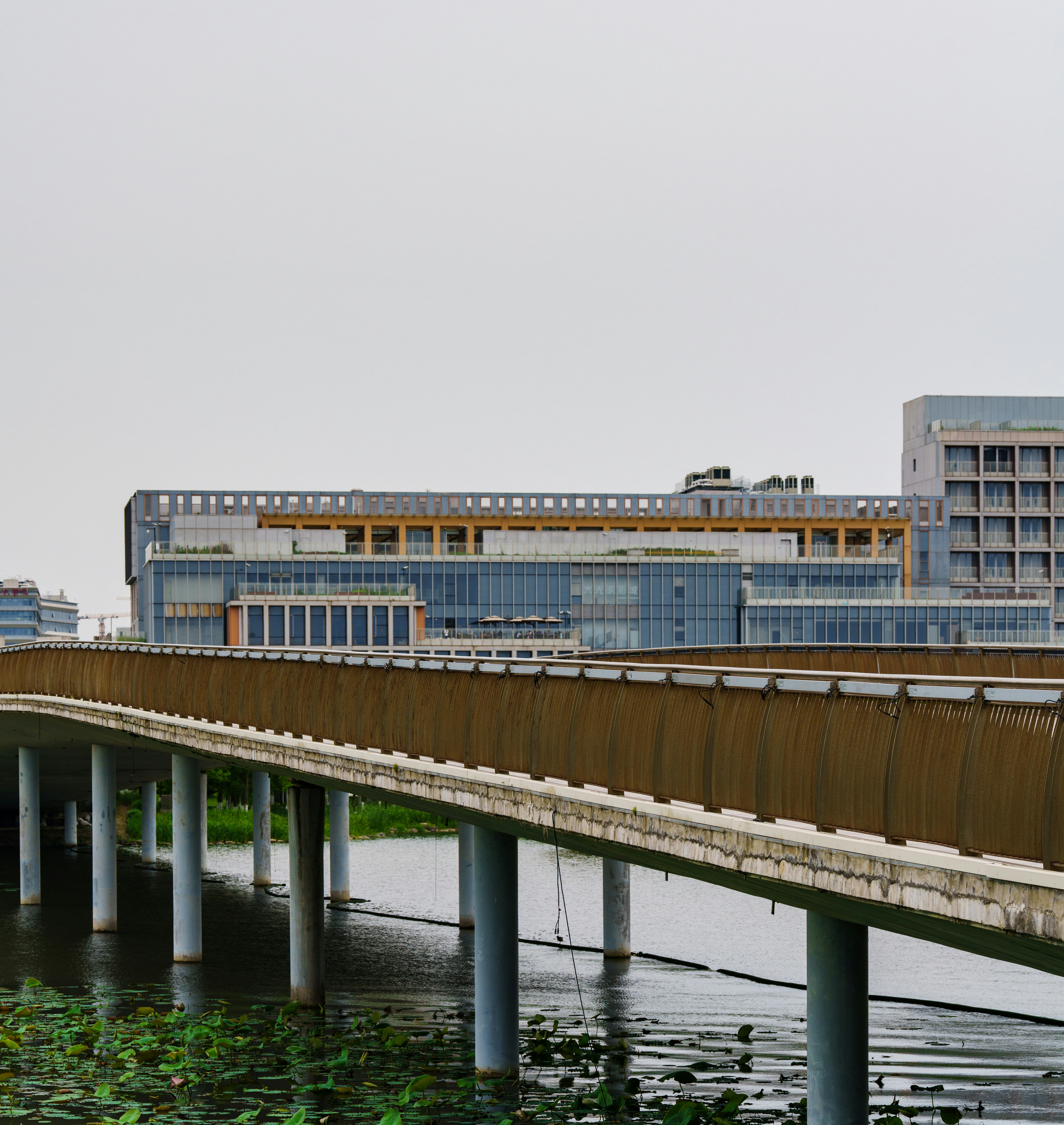 Bridge Over Waterways toward a Modern Riverside Campus