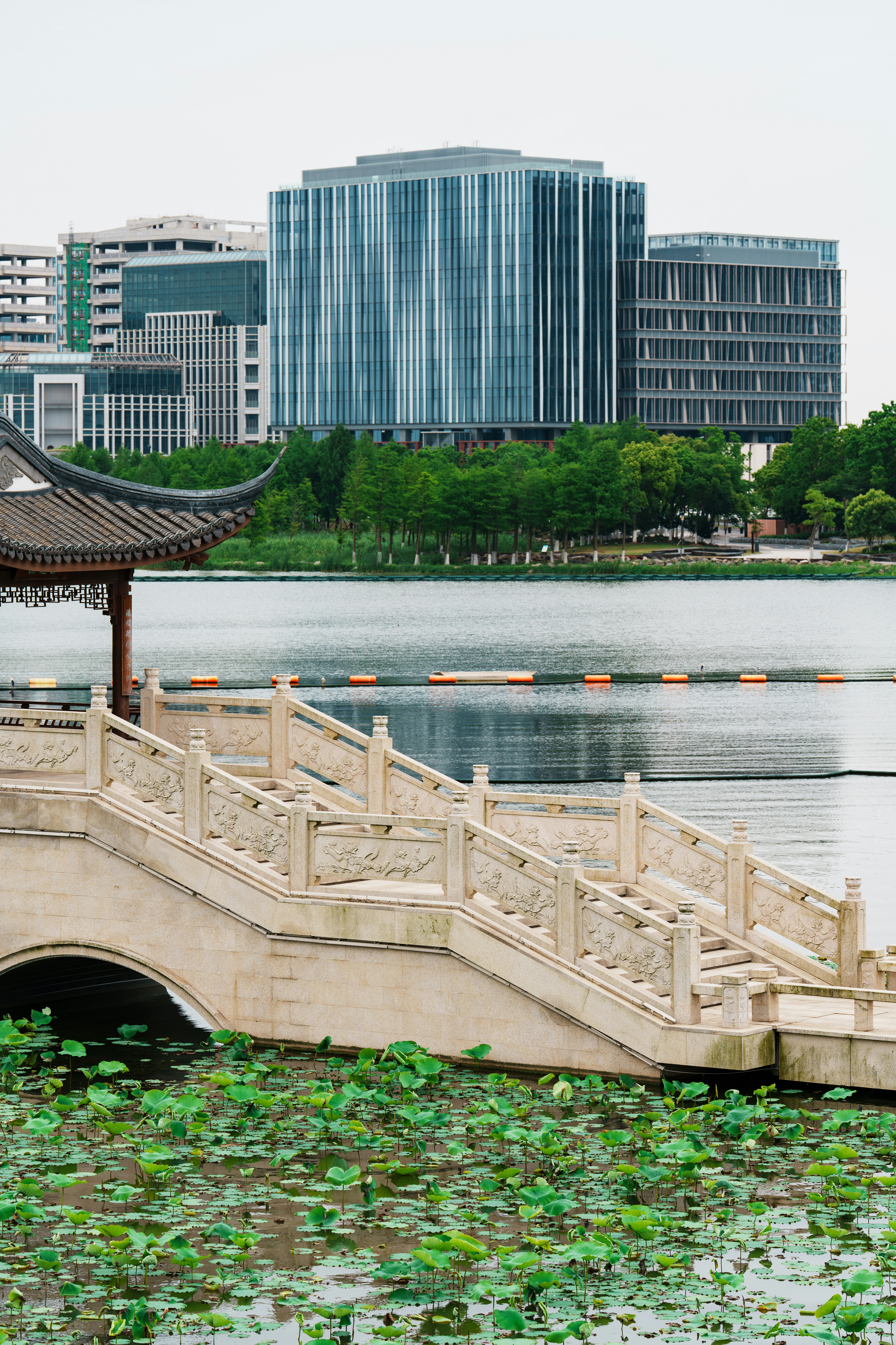 Lake with lily pads, traditional bridge, and modern city skyline.