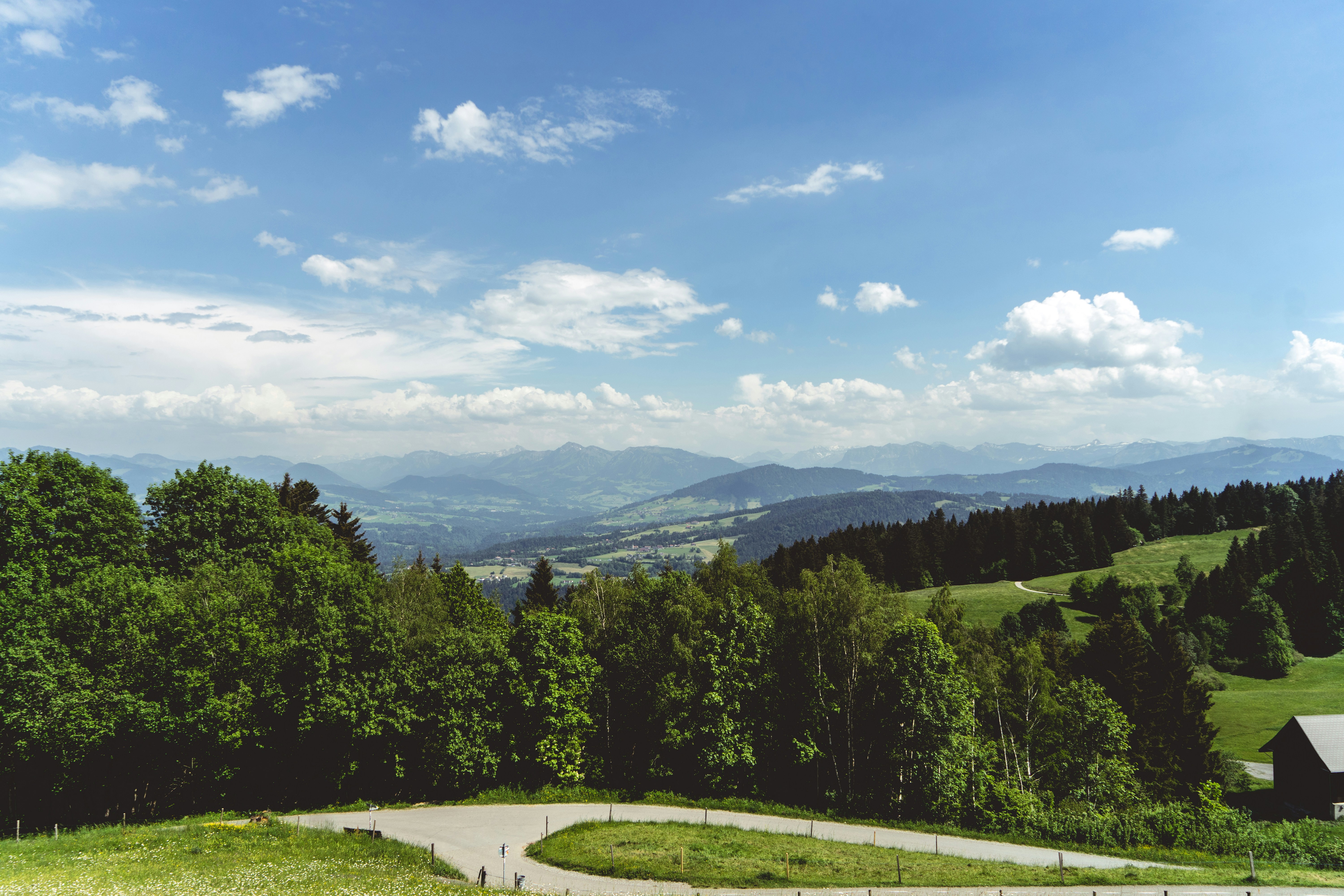 Curved Road Through a Lush Hillside Panorama