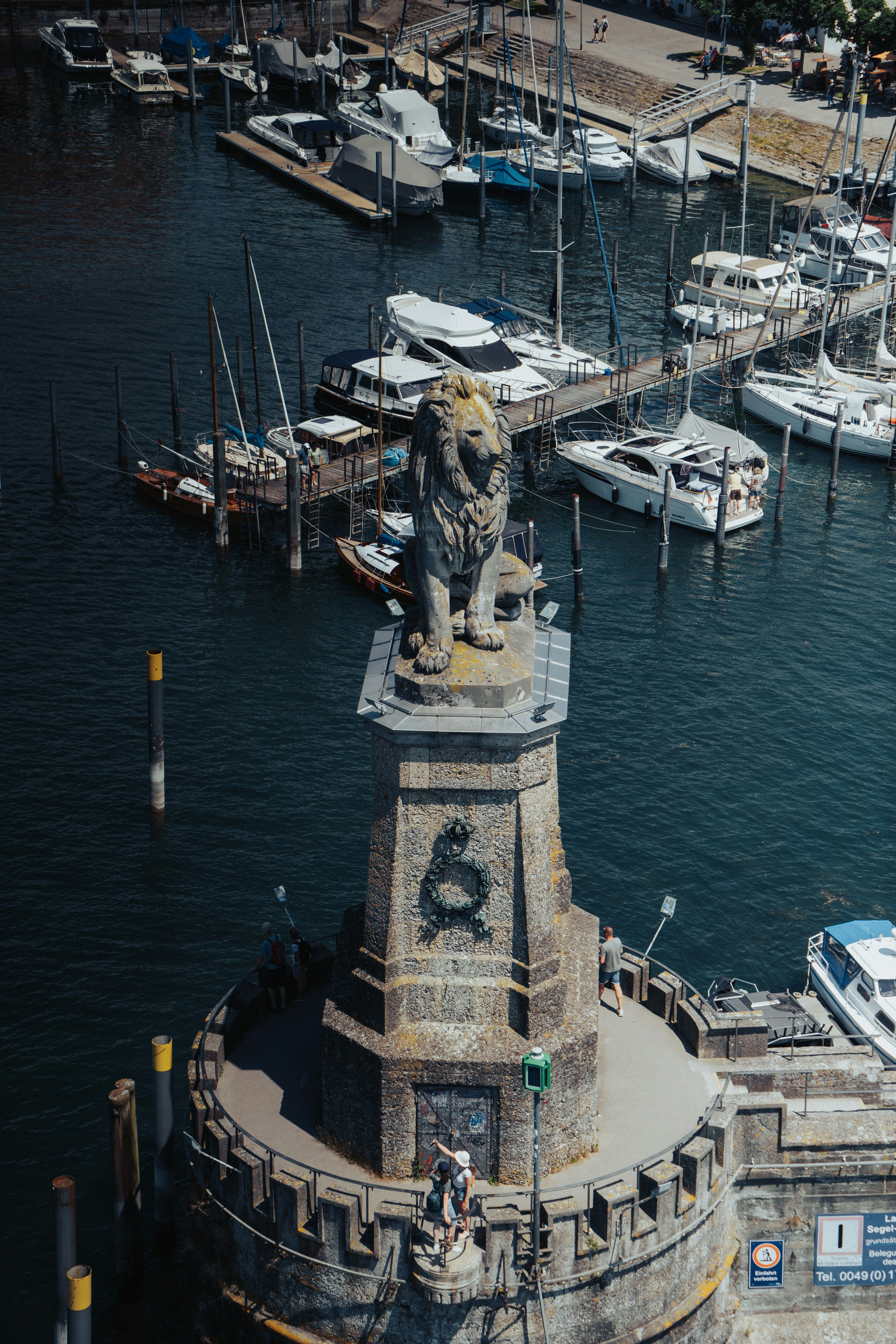Lion Keeper of the Marina