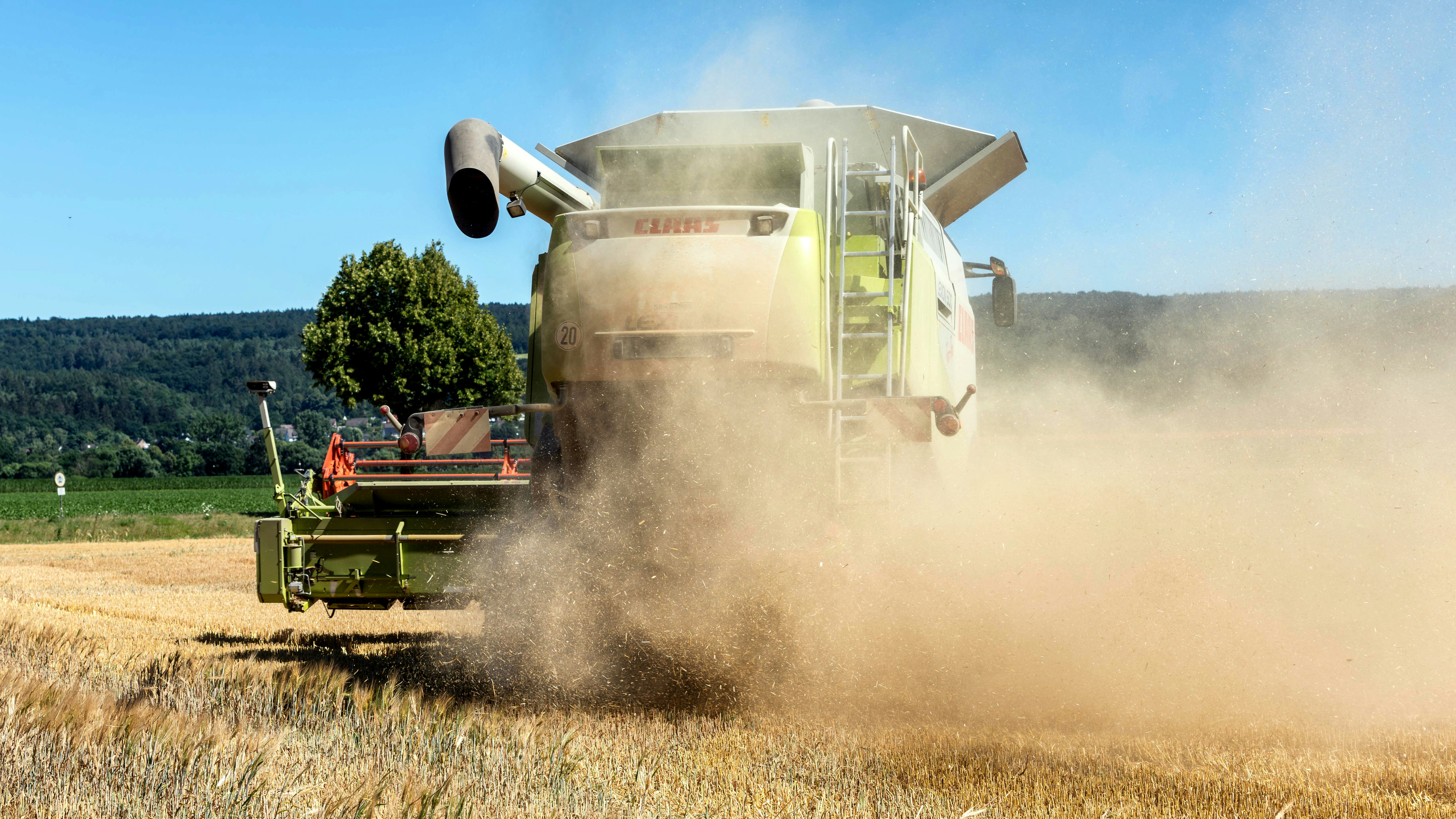Dust Cloudbreak: Harvest Monster in a Golden Field