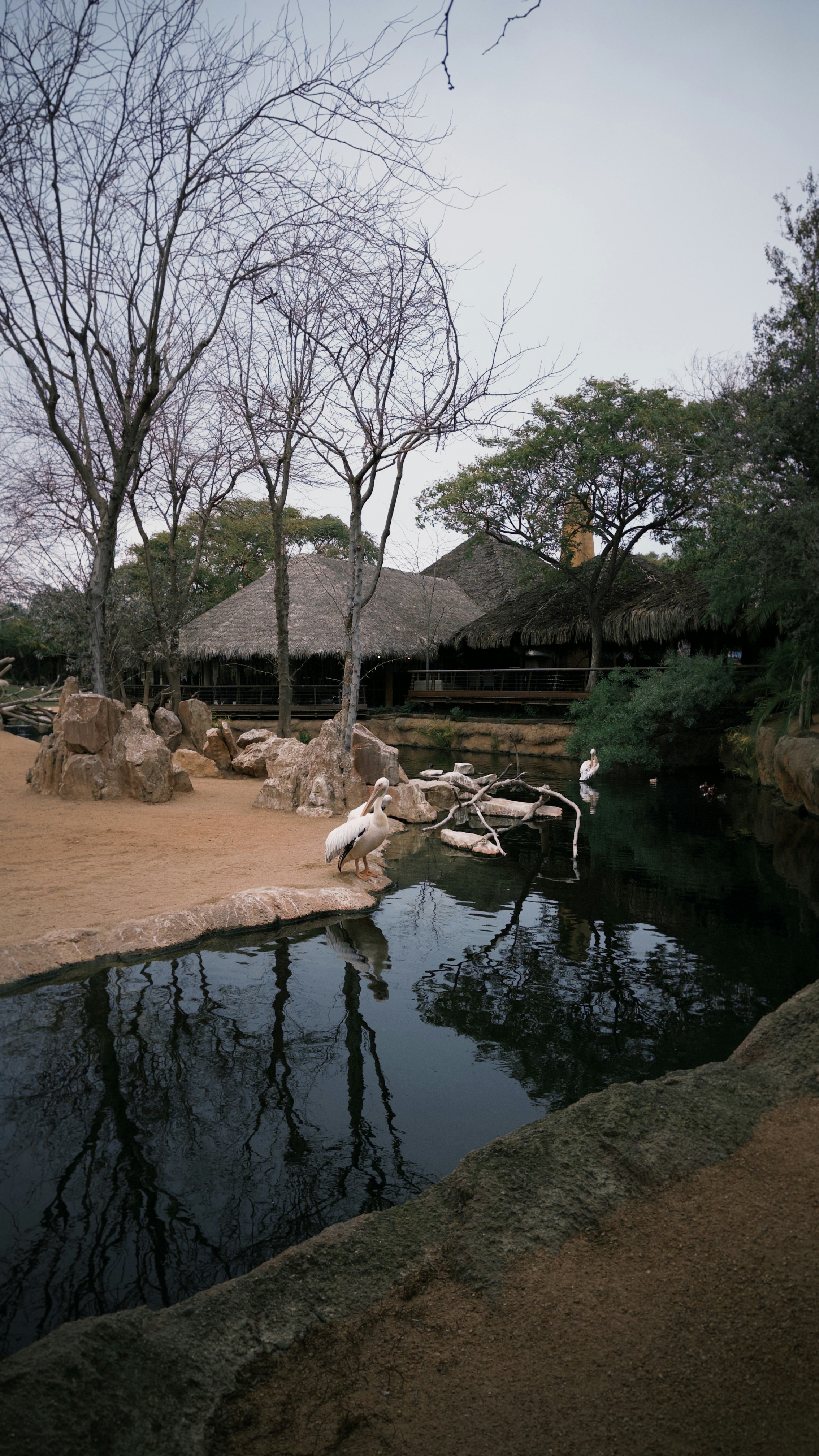 Heron by the Quiet Pond Under a Thatched Overlook