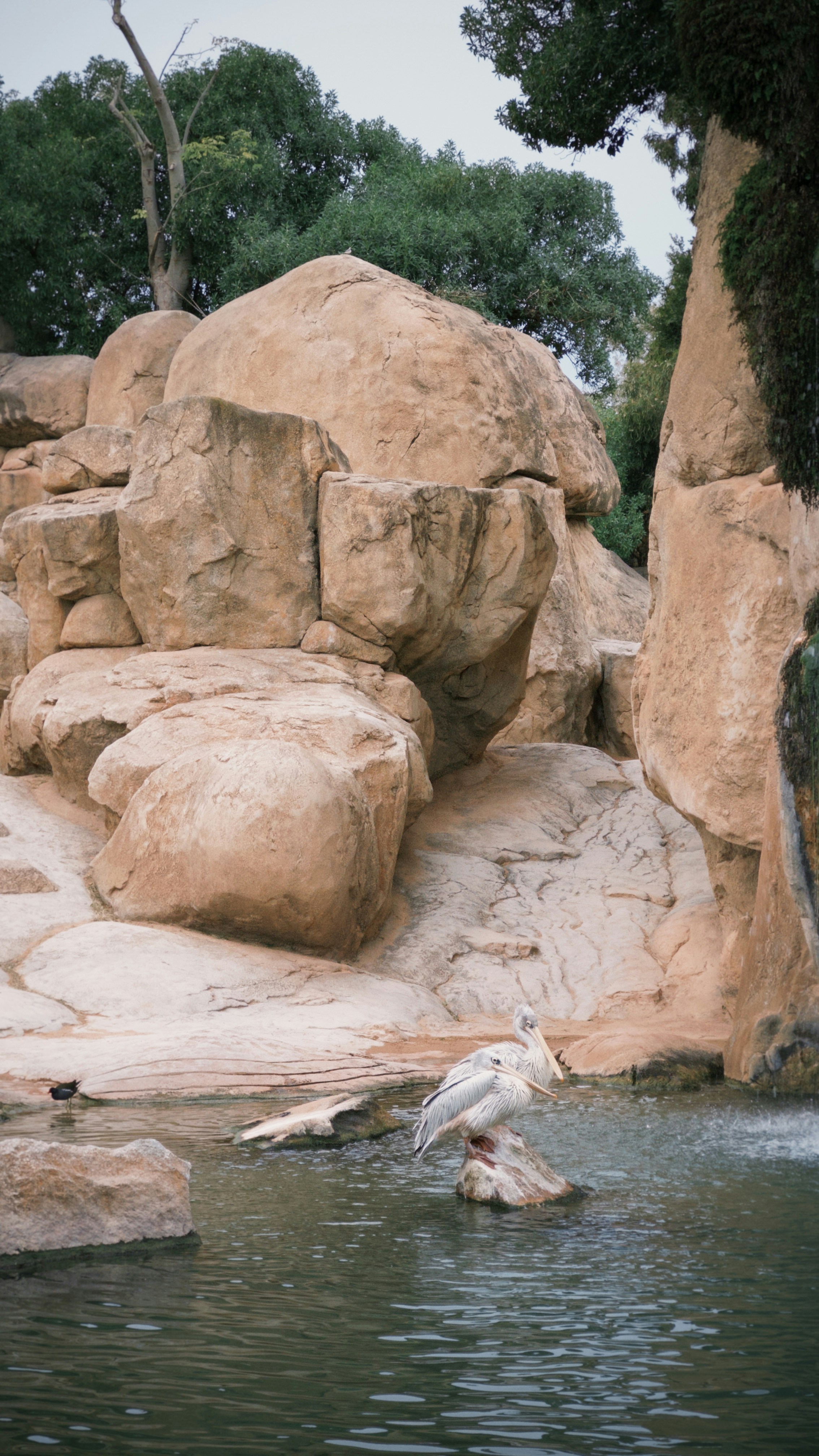 Stone Cascade by the Quiet Pool