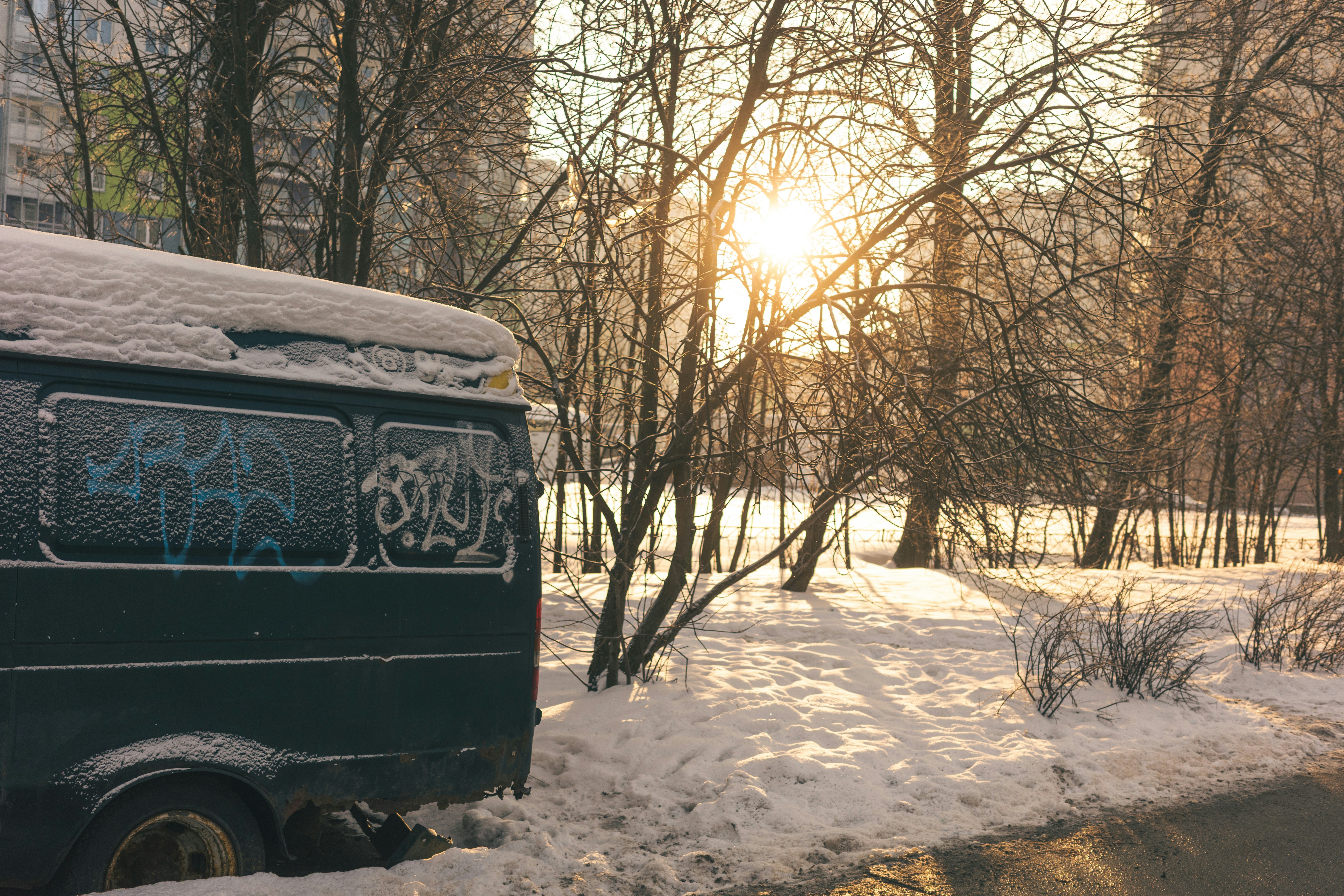 Sunlit Clearing Beyond a Graffitied Van