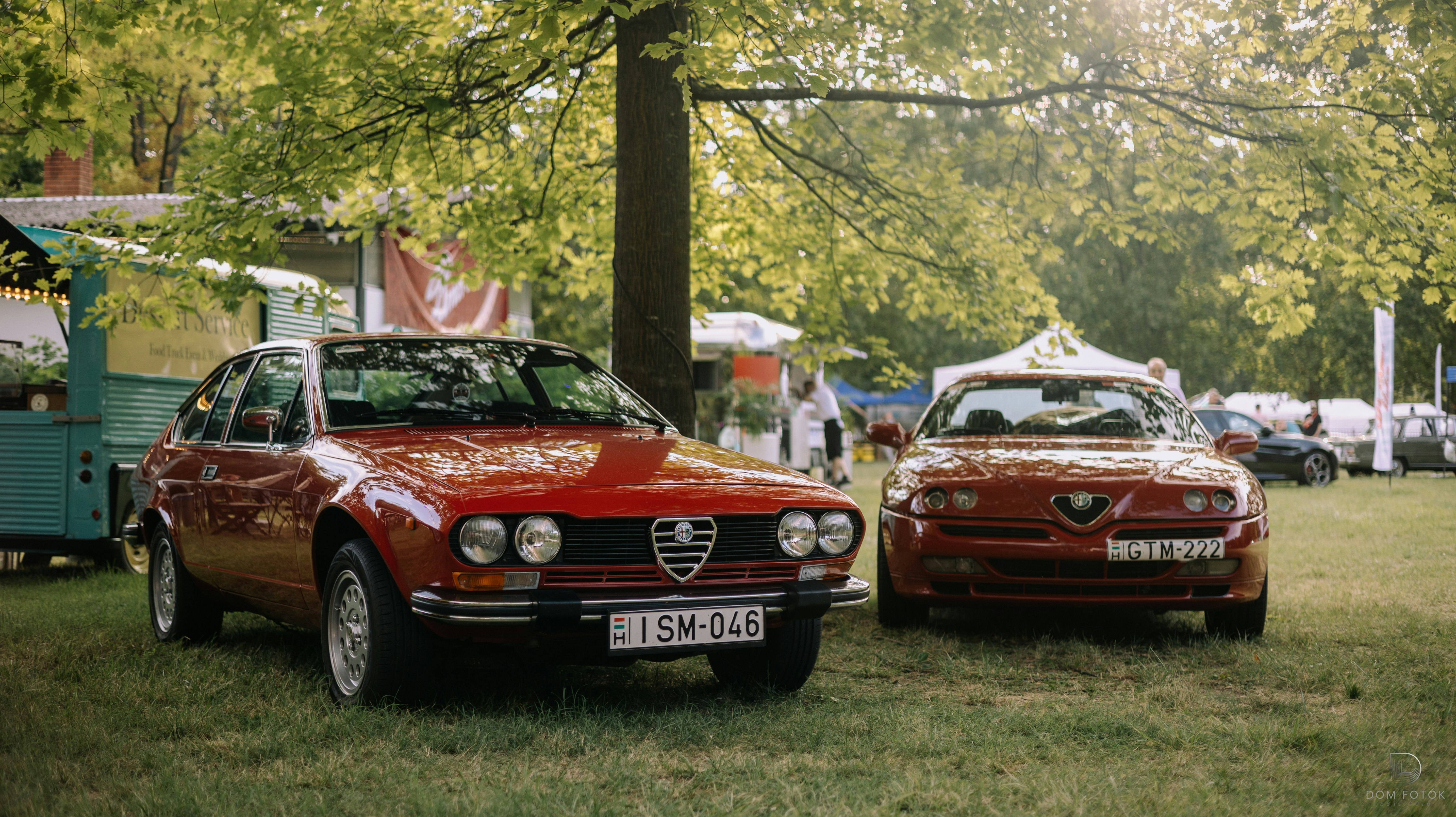 Red Classics in a Quiet Park Spotlight