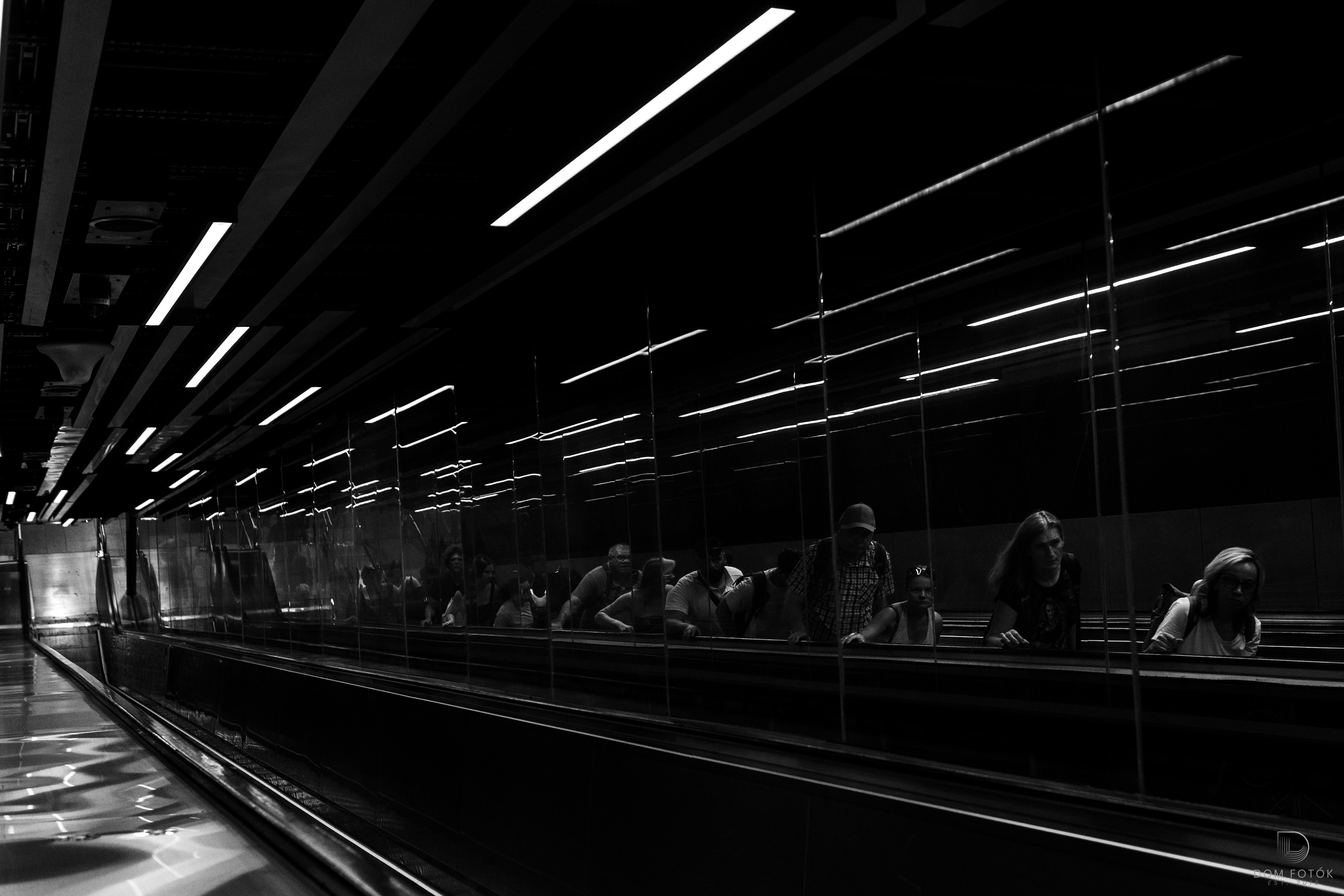 Midnight Transit: Reflections Along the Moving Edge