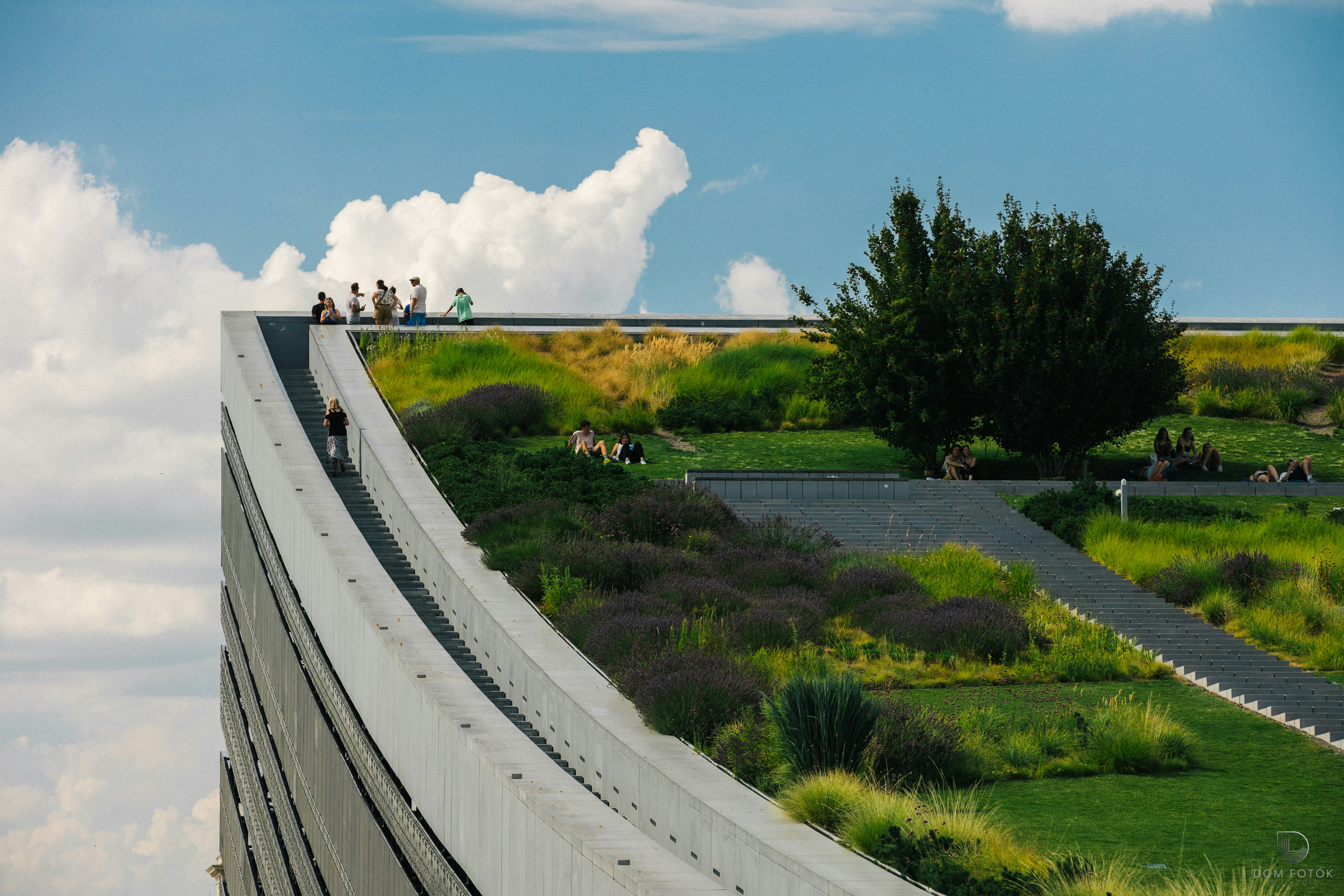 Ridge Railway: A Concrete Arc Over Green Slopes