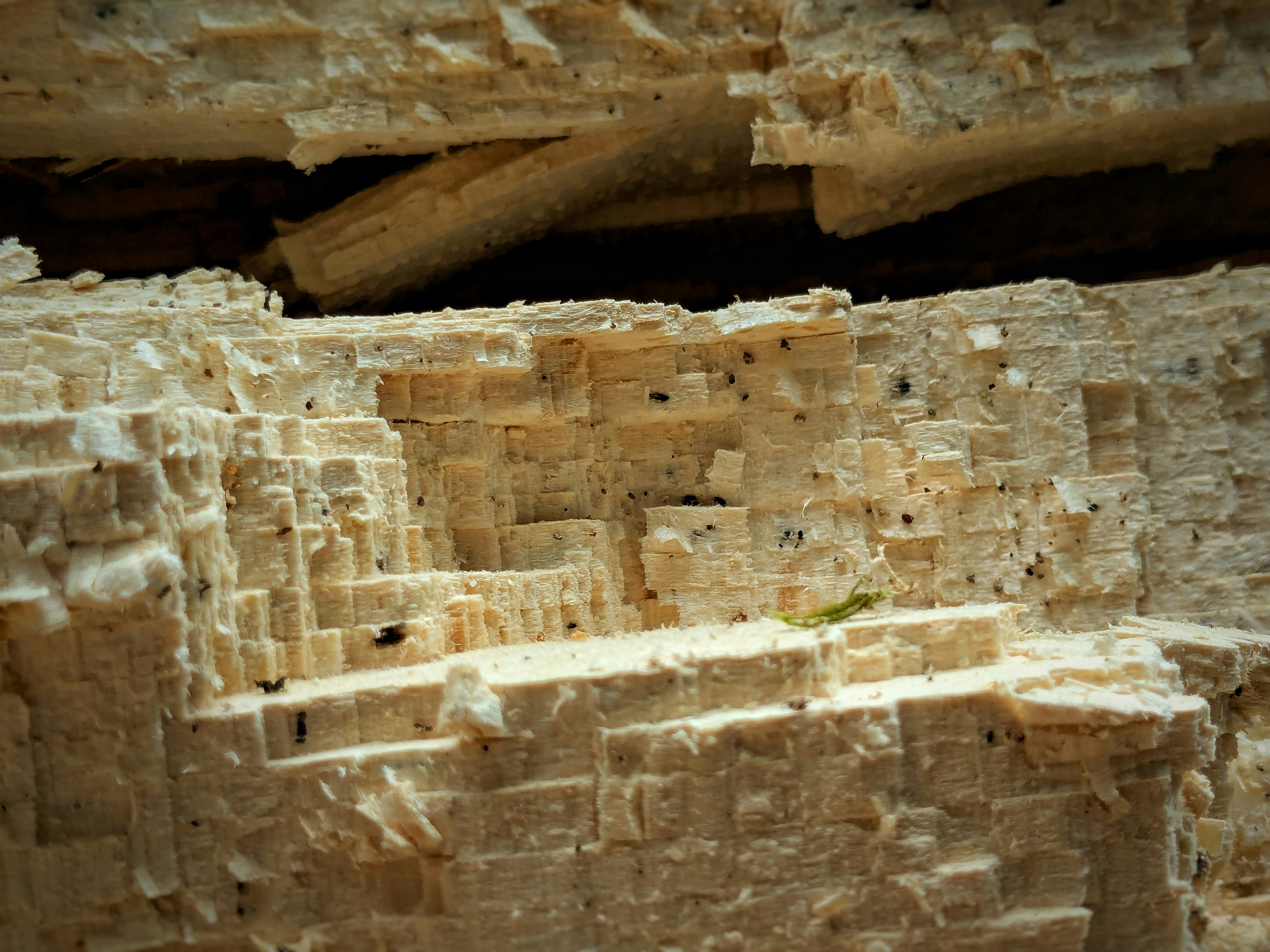 Carved Stone Steps: Weathered Geometry in a Canyon of Wood