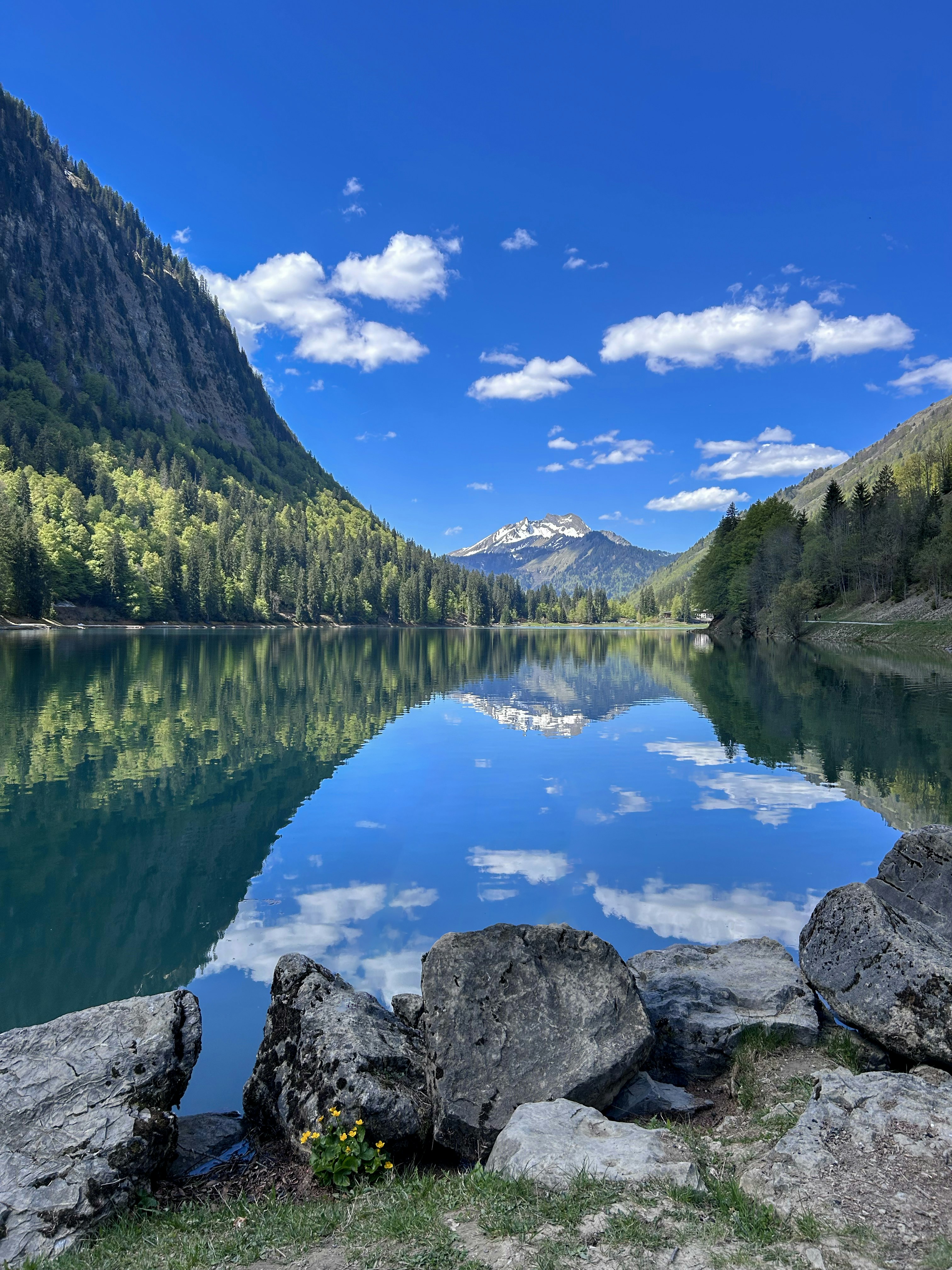 Mirror Lake at Midday: Snowy Peak Framed by Pine-Green Valleys