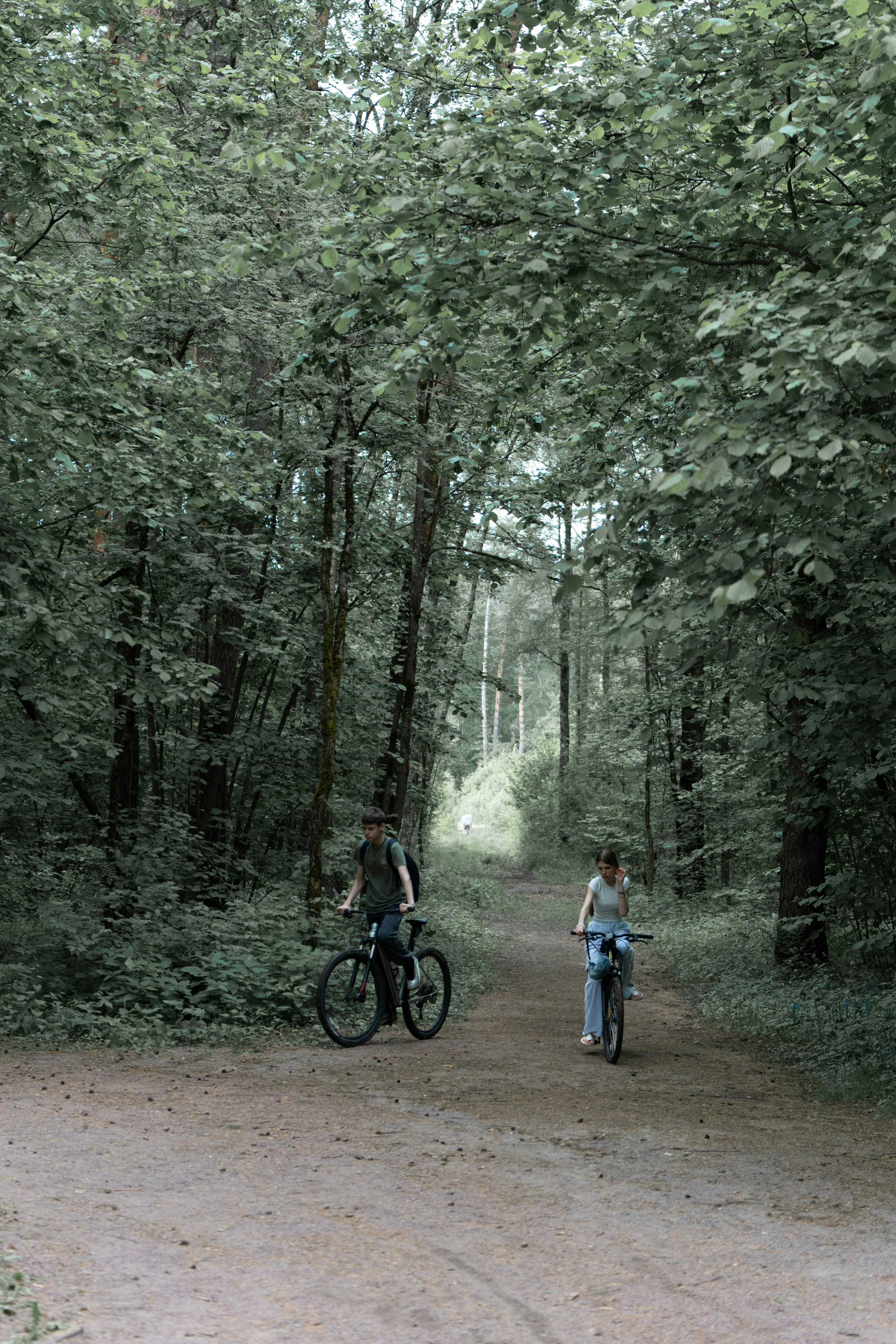 Two individuals cycling on a winding forest path.