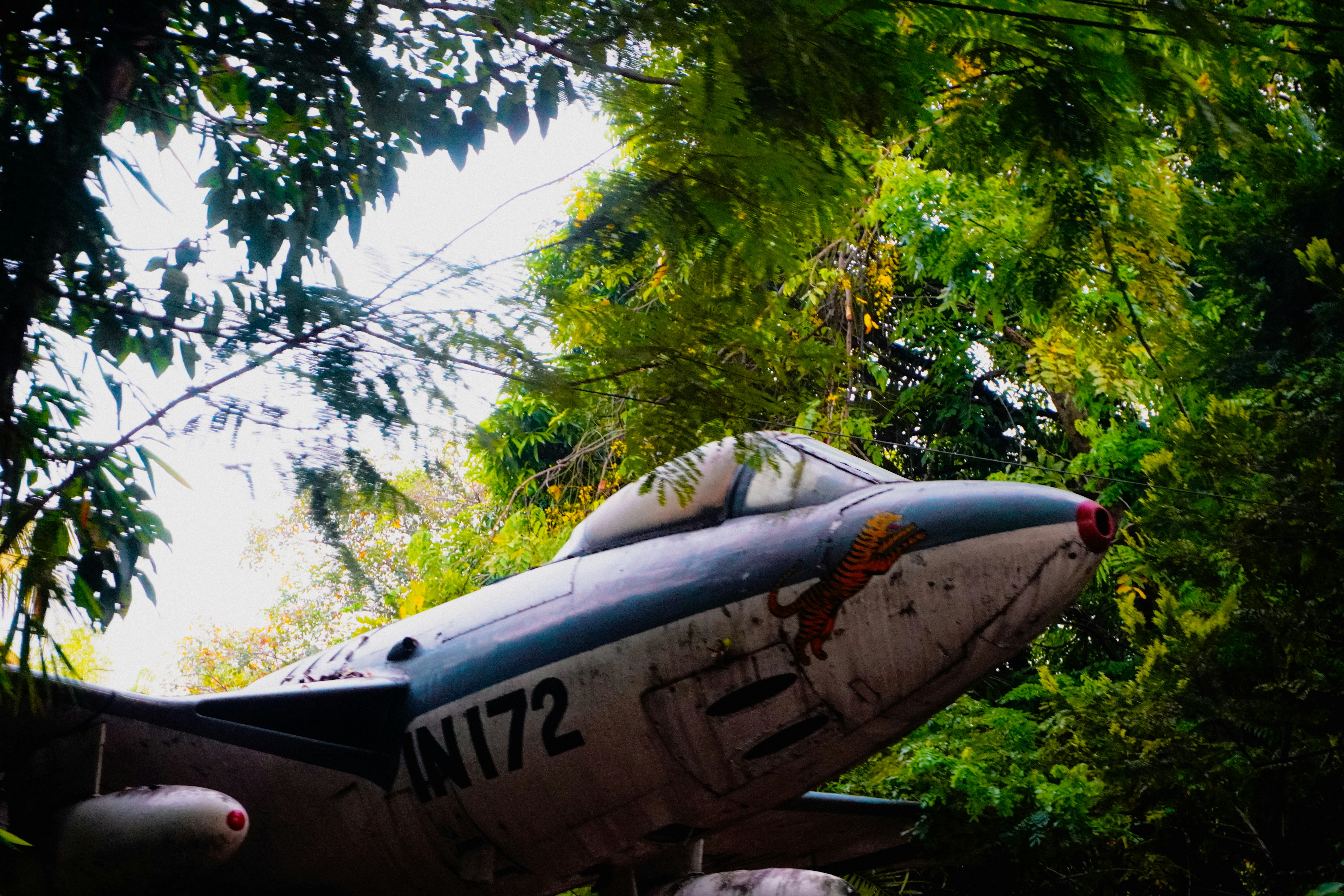 An old fighter jet rests amidst dense green jungle foliage.