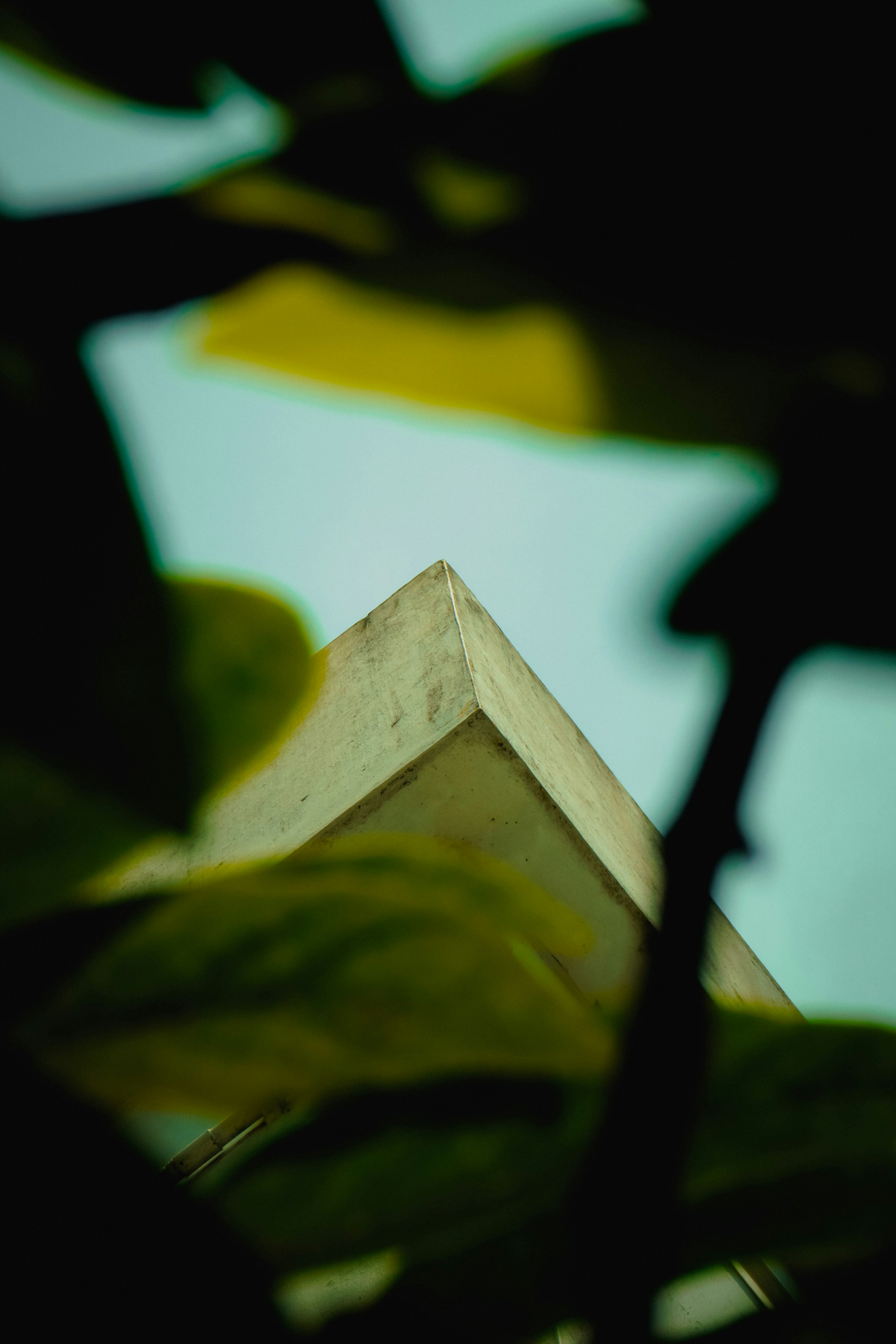 Shadowed Rooftop Between Framing Leaves