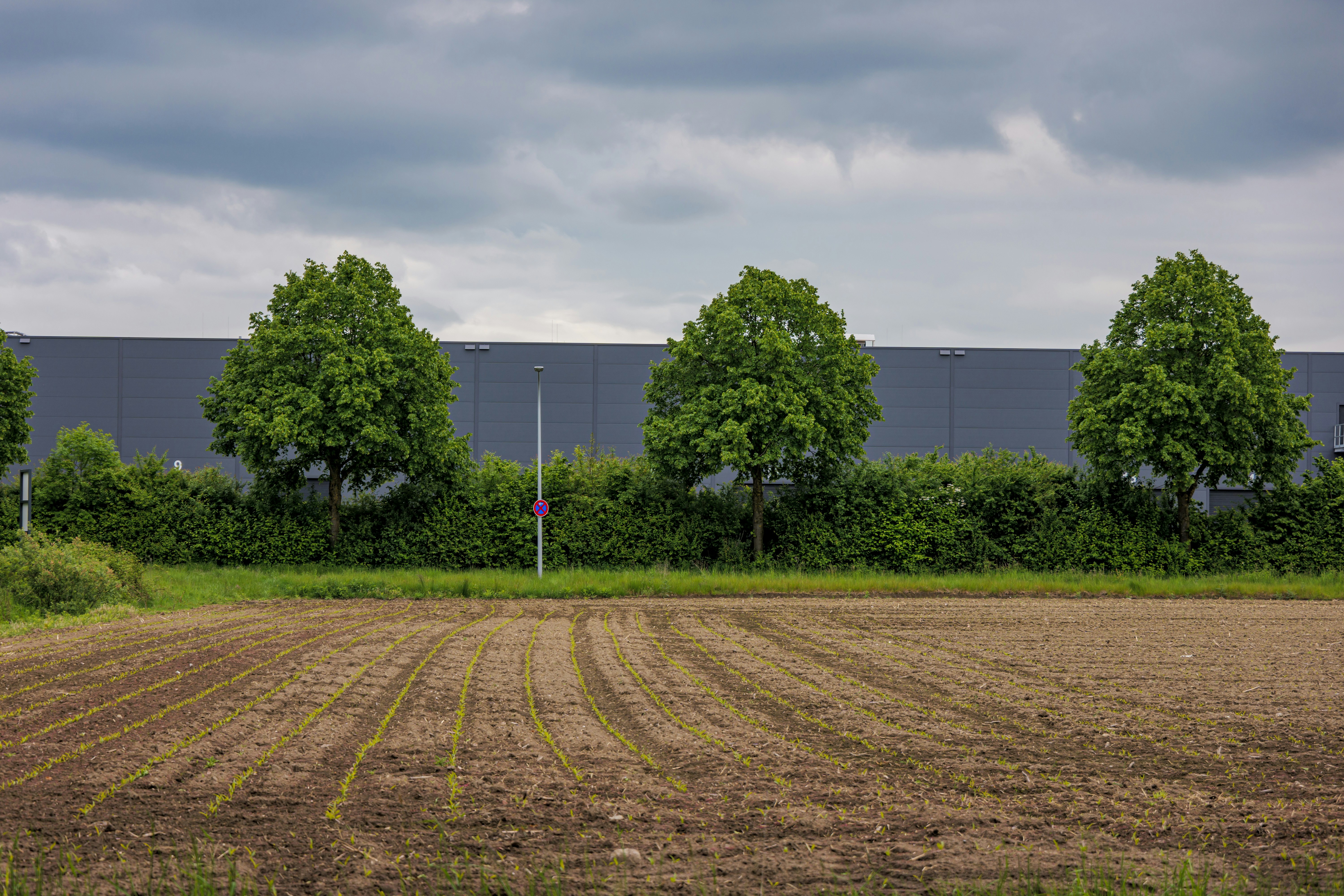 Line of trees above a cultivated field with a distant industrial wall