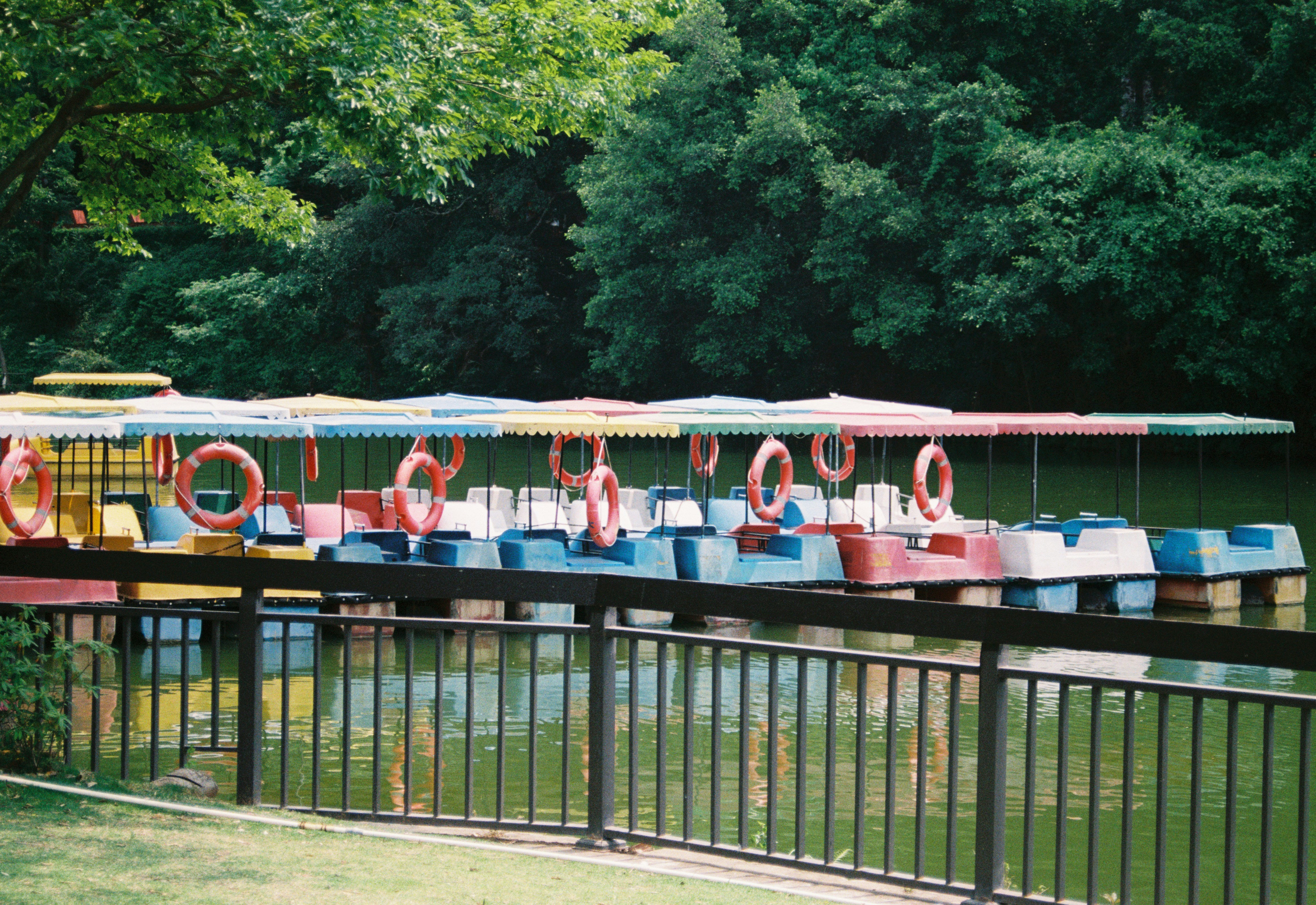 Colorful pedal boats moored along a calm lakeside with a shaded green backdrop