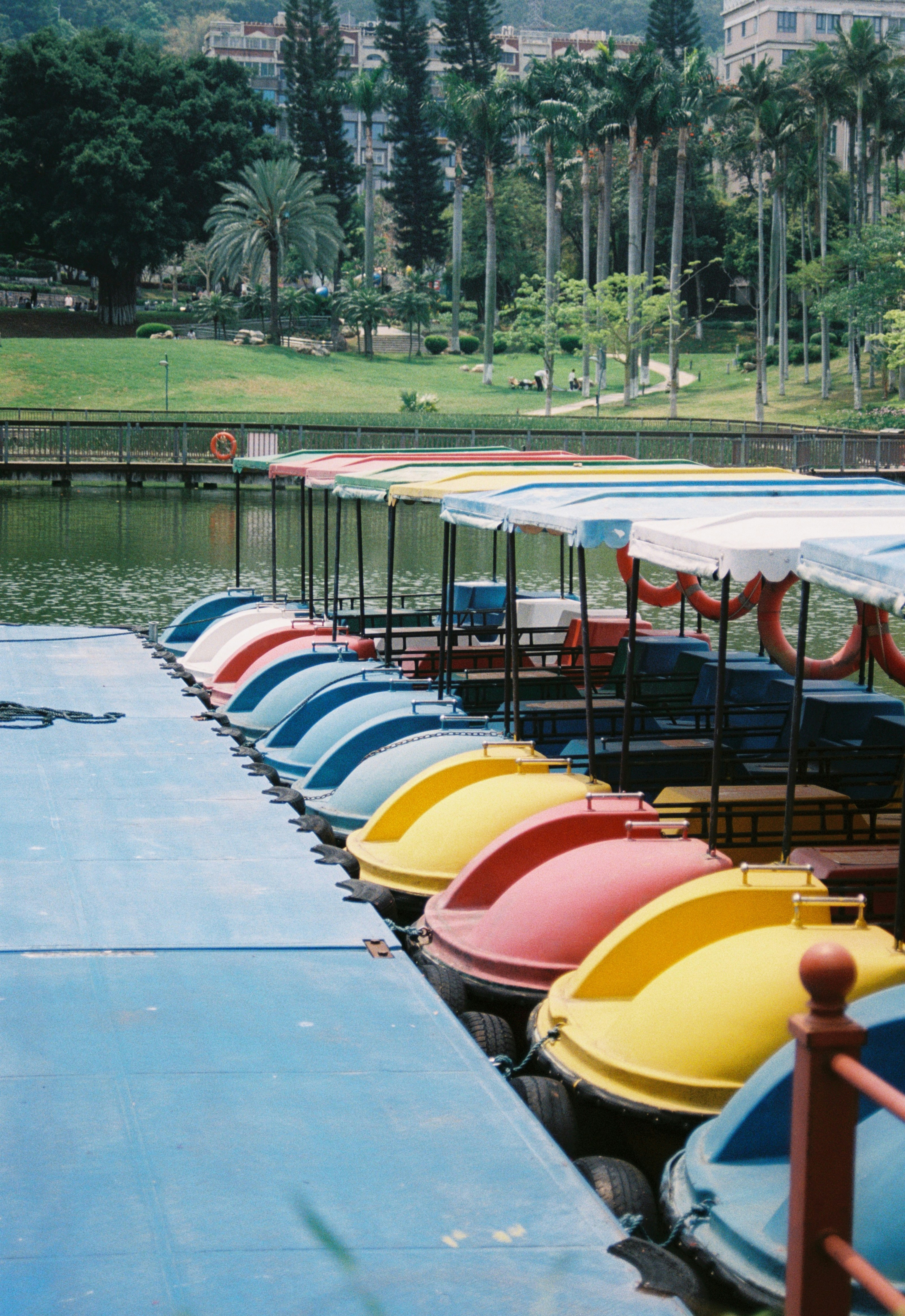 Colorful paddle boats at a tranquil lakeside dock
